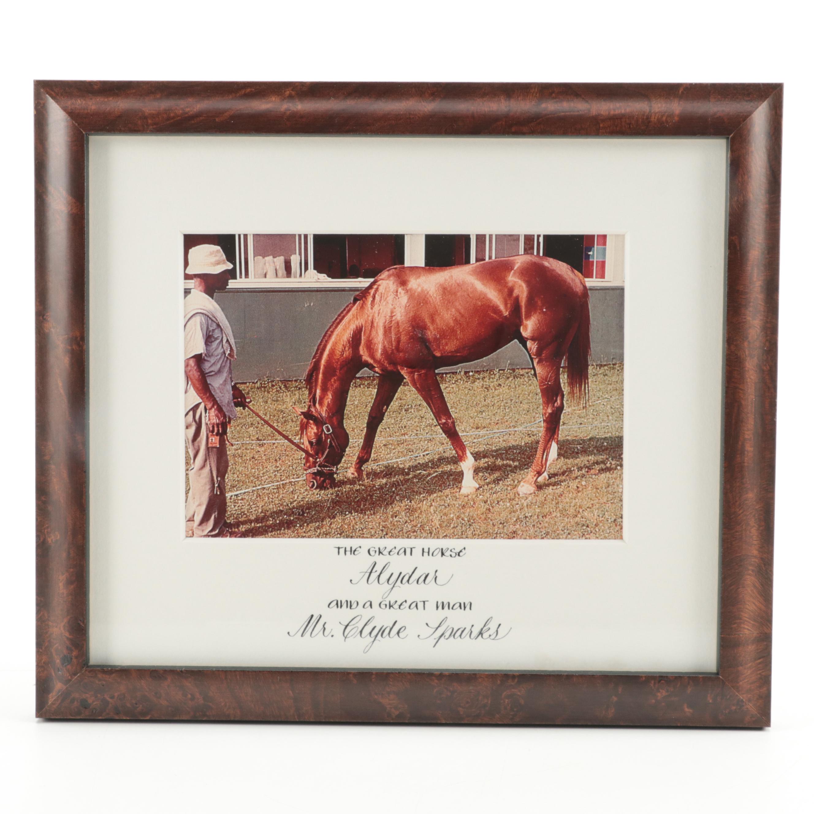 Digital Print of a Photograph of Champion Horse Alydar with Mr. Clyde ...