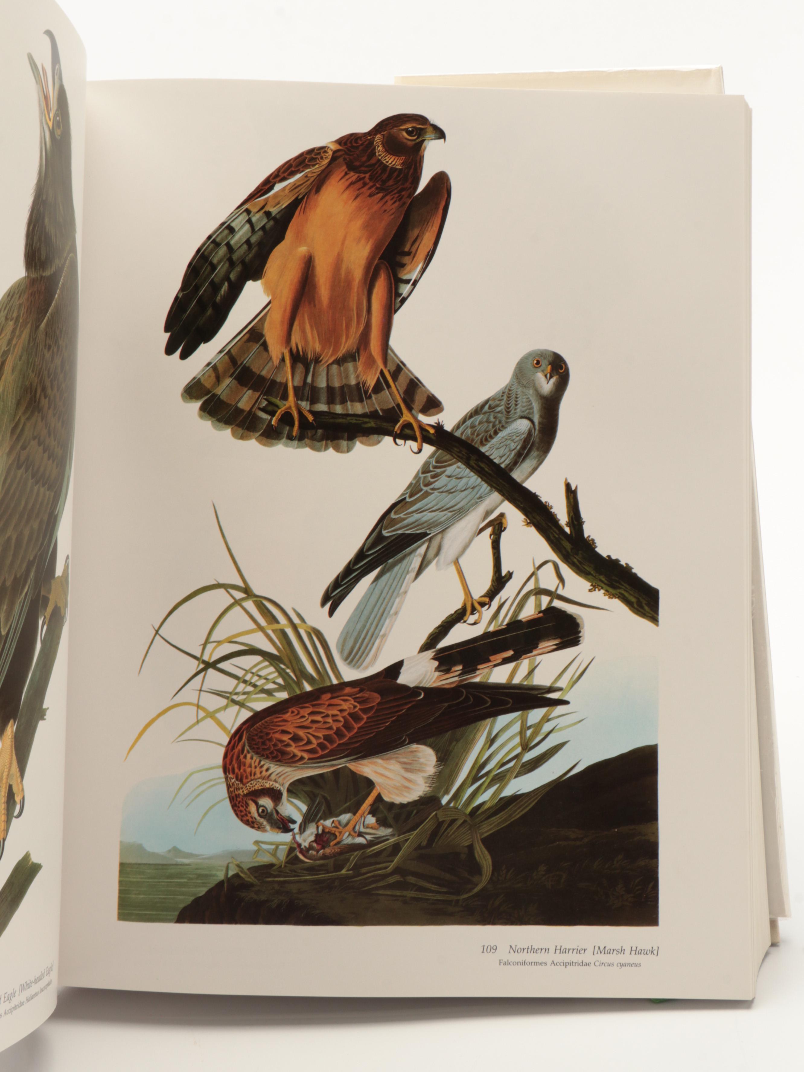 "Audubon's Birds of America" Baby Elephant Folio by the Petersons, 1981 ...