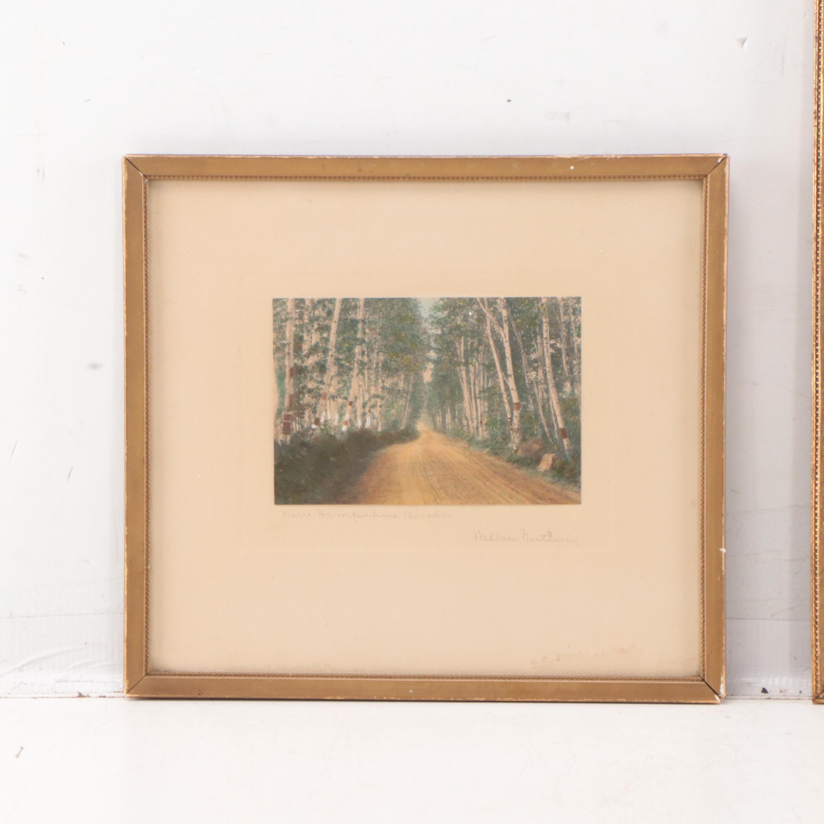 Wallace Nutting Hand-Colored Photographs "New Hampshire Birches" and ...