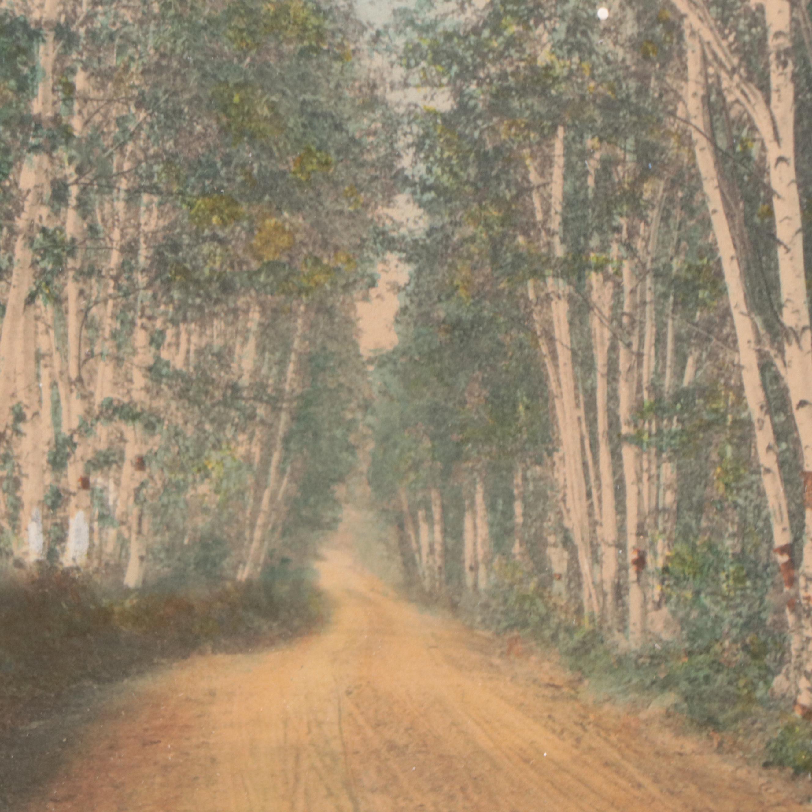 Wallace Nutting Hand-Colored Photographs "New Hampshire Birches" and ...