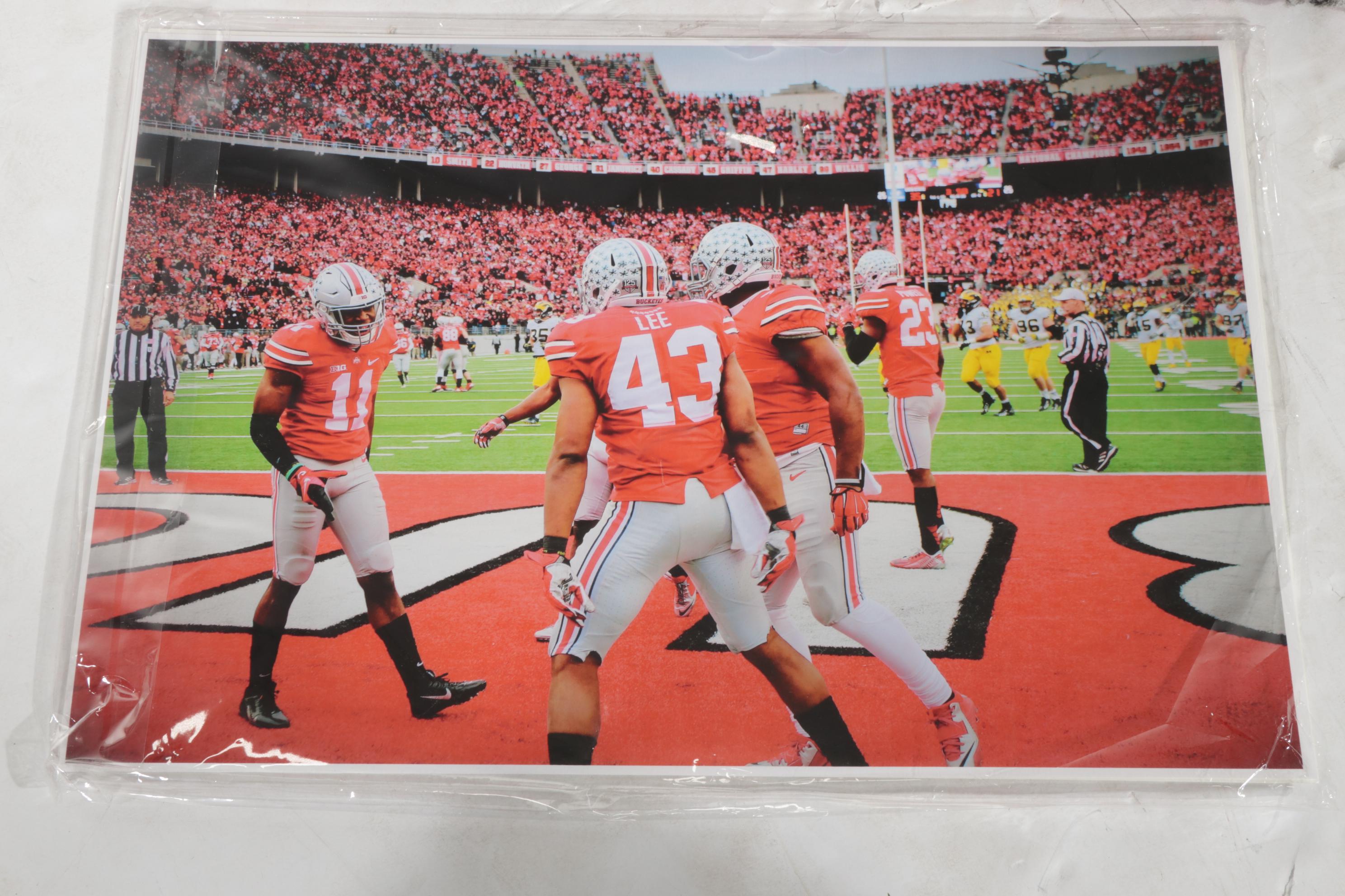 Ohio State Buckeyes Memorabilia Featuring Wall Hangings, Blankets, and ...