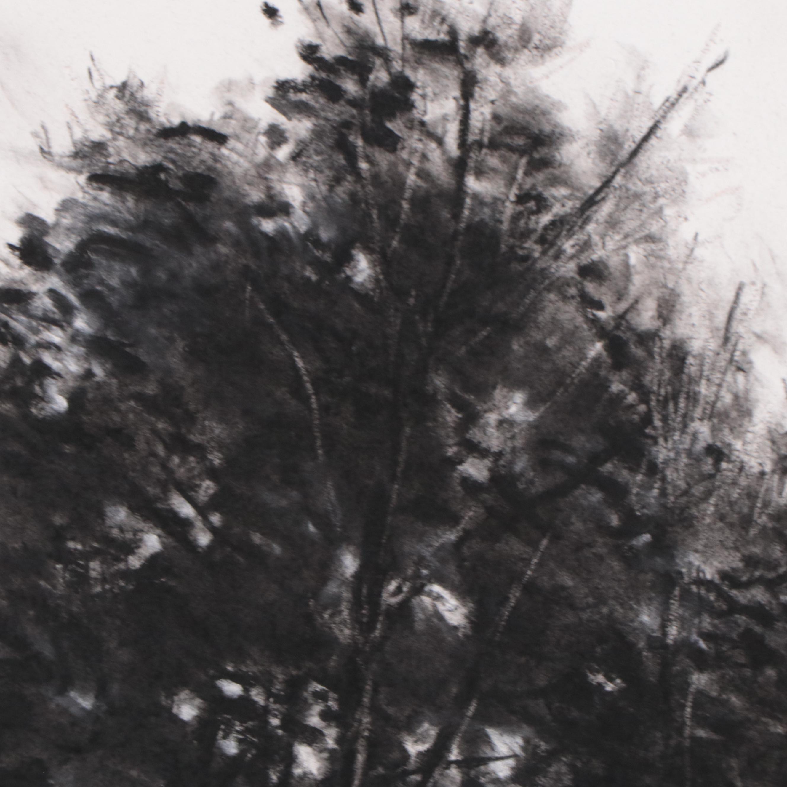 Alan Patrick Charcoal Drawing of Landscape, 2008 | EBTH