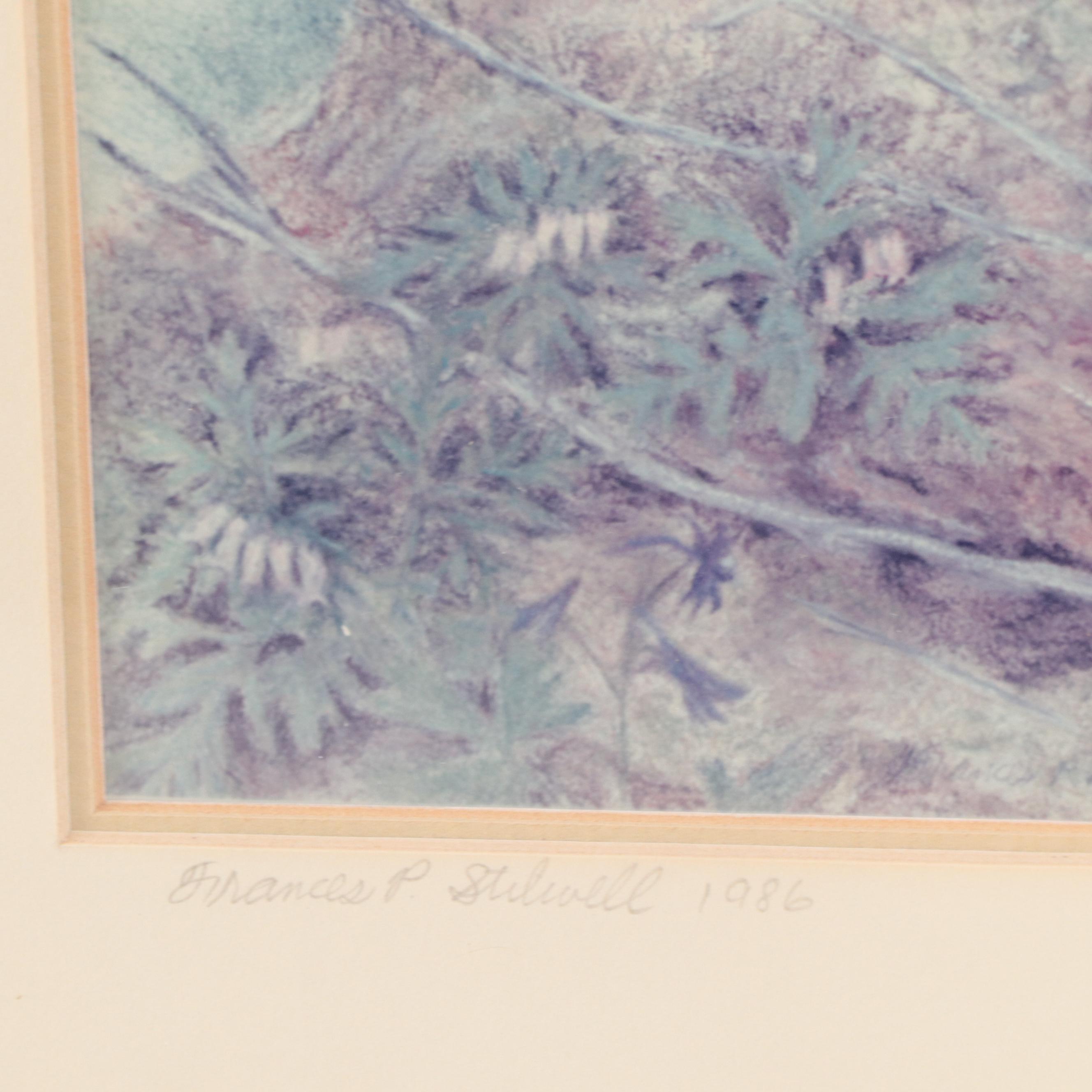 Frances P. Stilwell Chromogenic Prints of Woodland Landscapes | EBTH