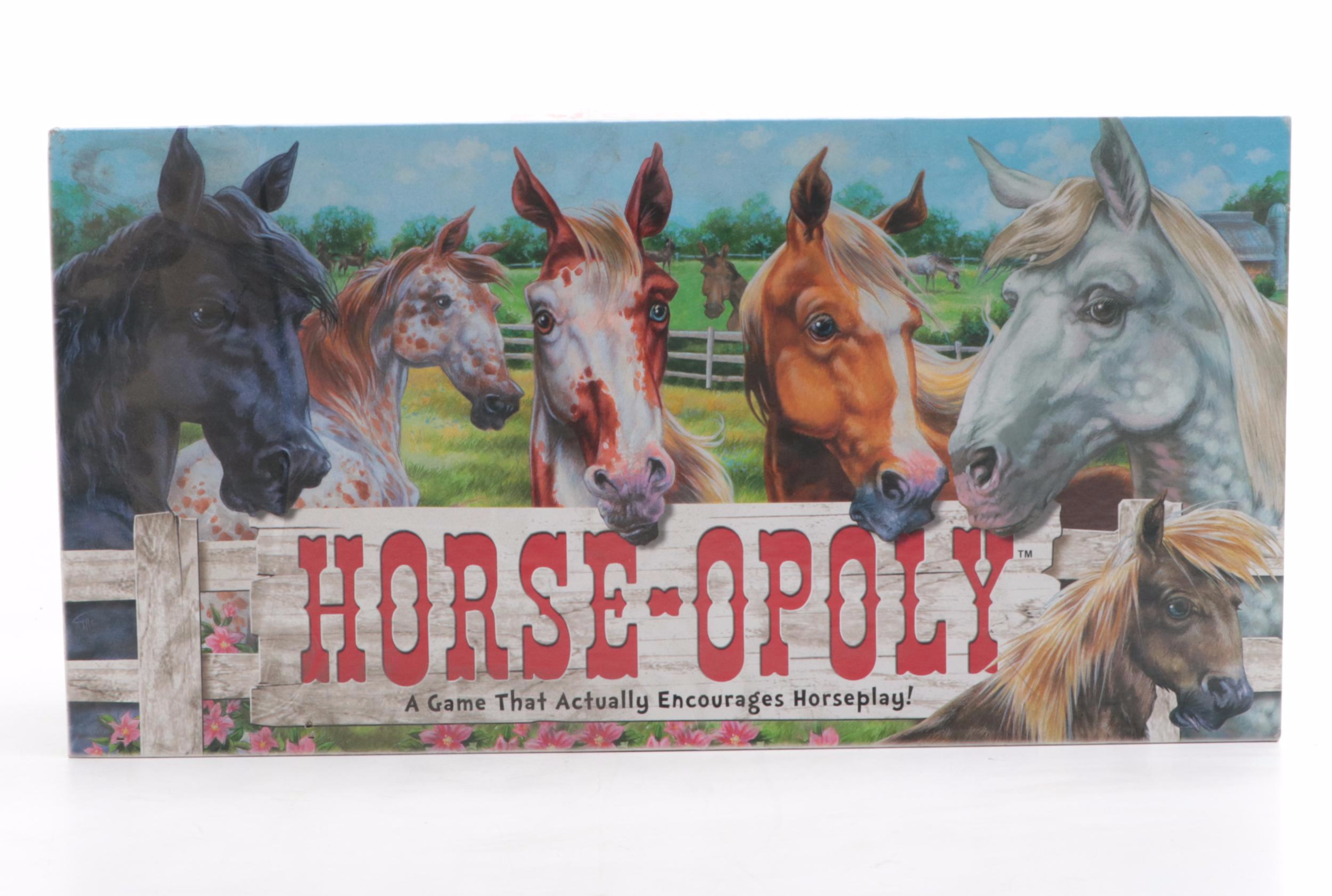 Horse-opoly, Bird-opoly, Photo-opoly, and Dog-opoly Board Games | EBTH