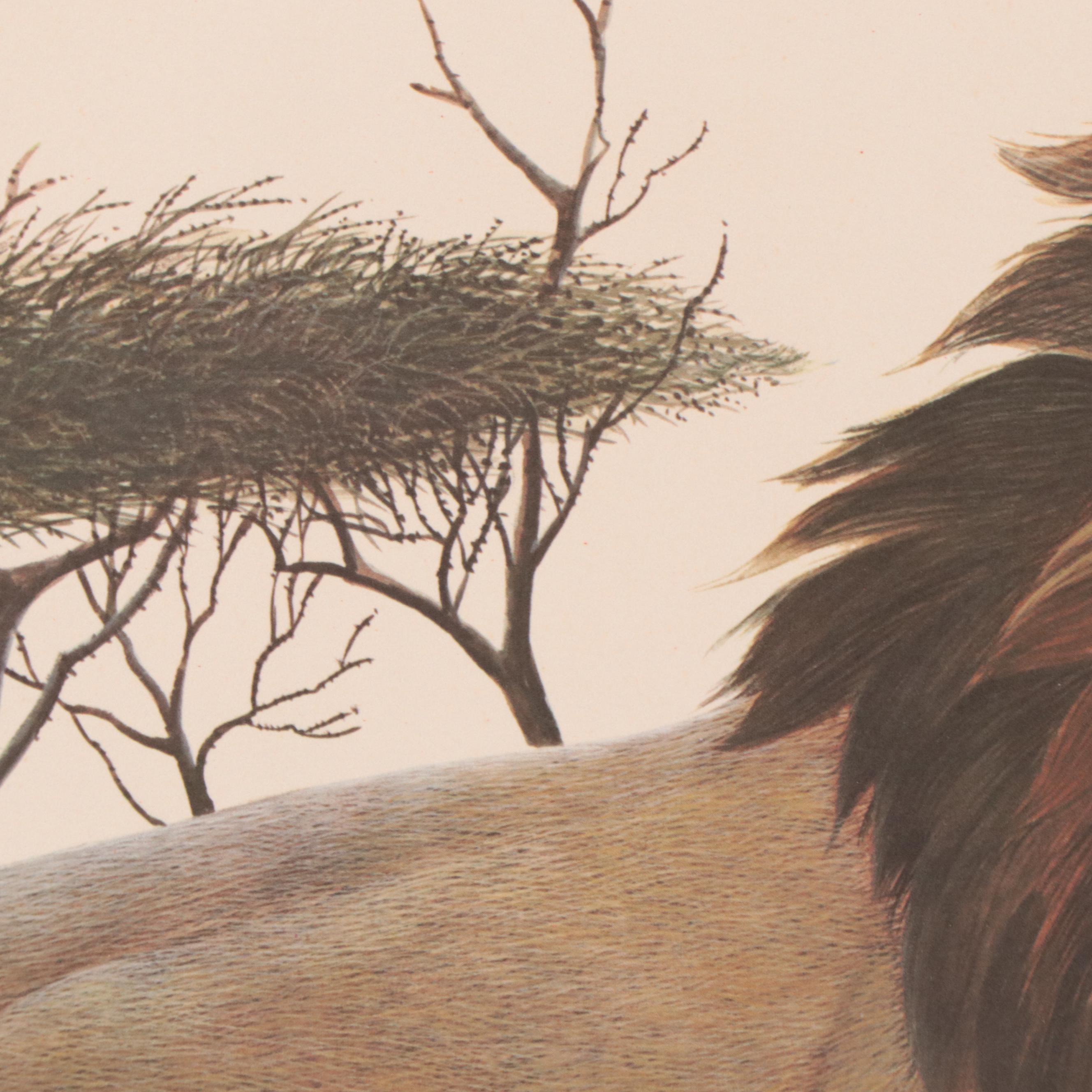 John Ruthven Offset Lithograph "Black Maned Lion," 1973 | EBTH