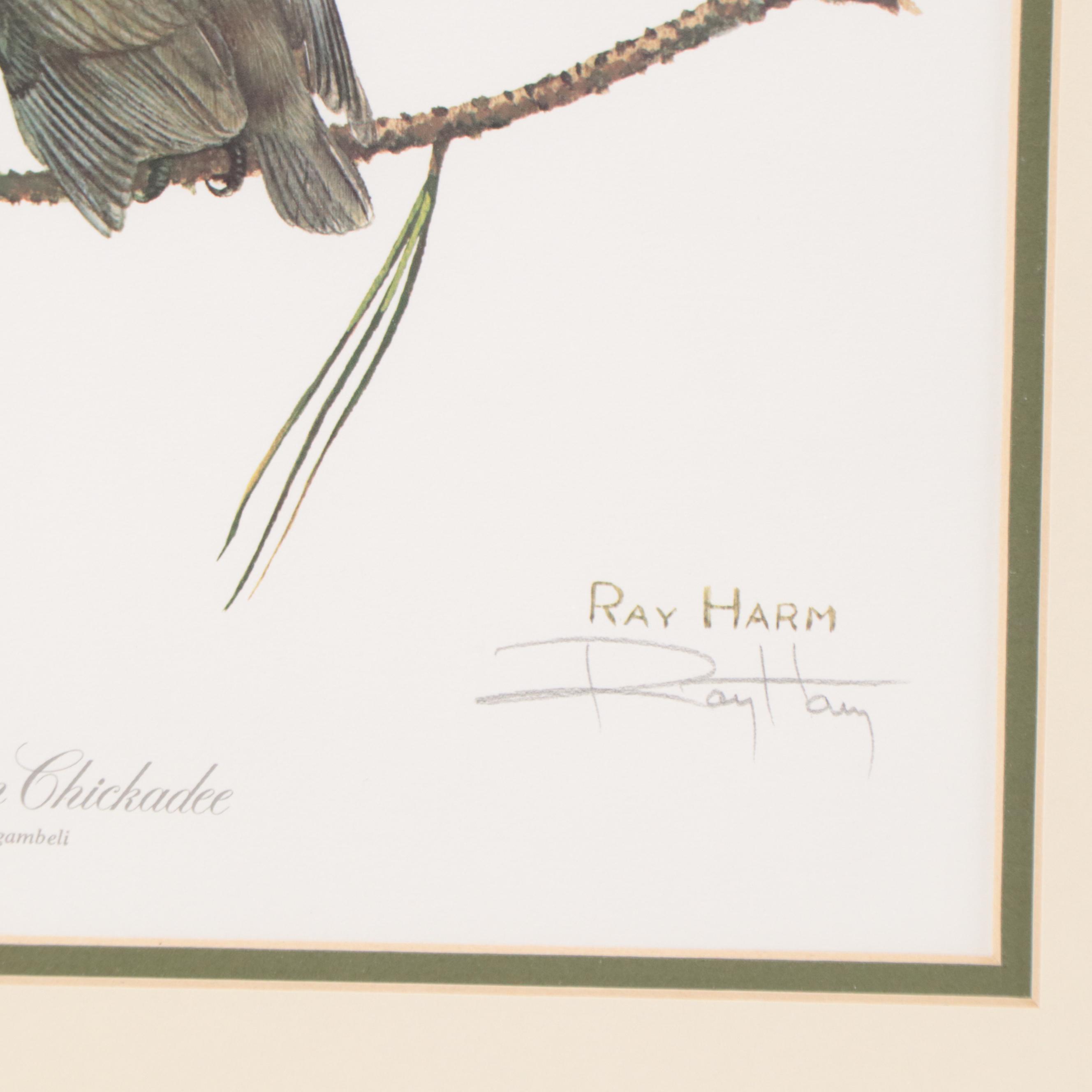 Ray Harm Offset Lithographs of Birds, Late 20th Century | EBTH