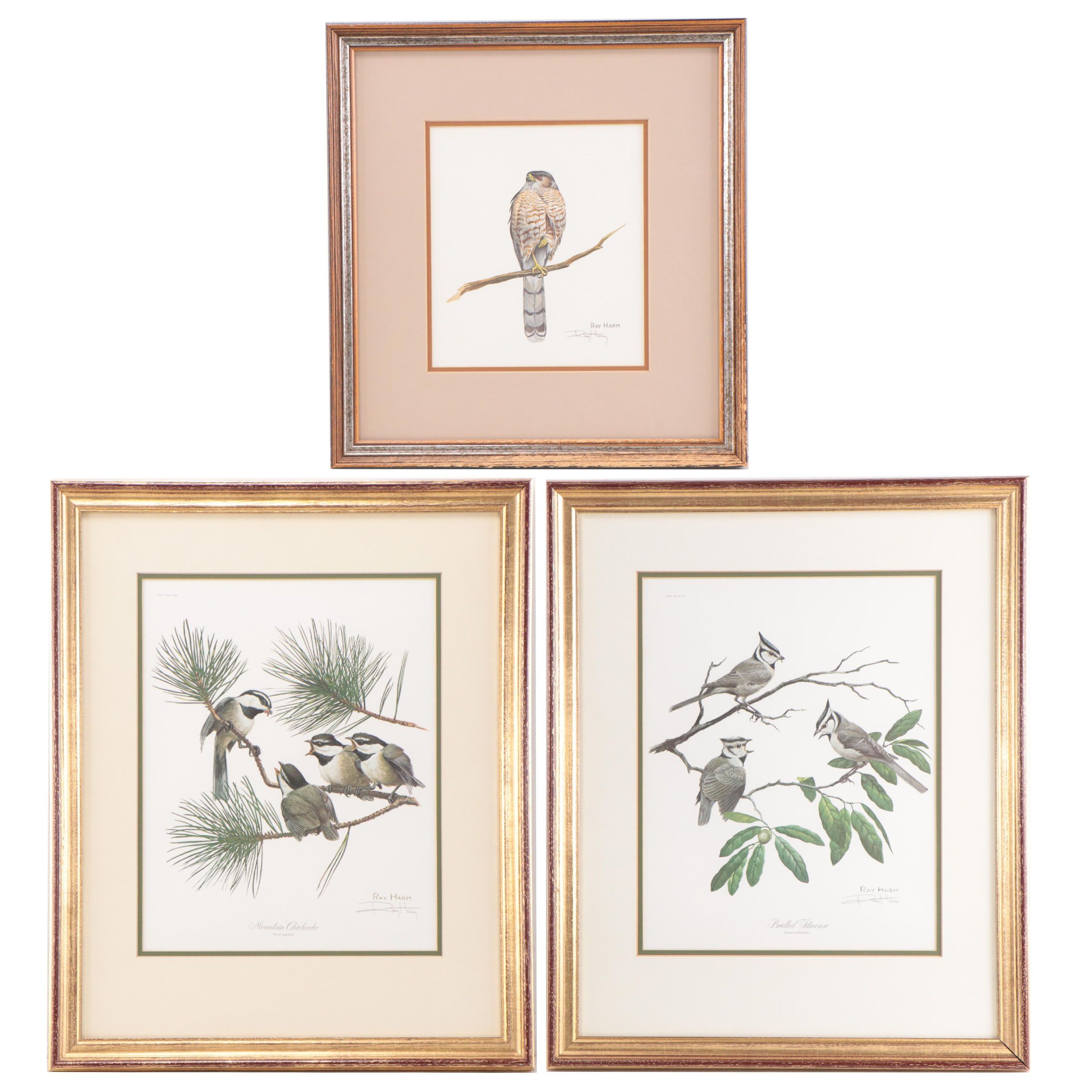 Ray Harm Offset Lithographs of Birds, Late 20th Century | EBTH