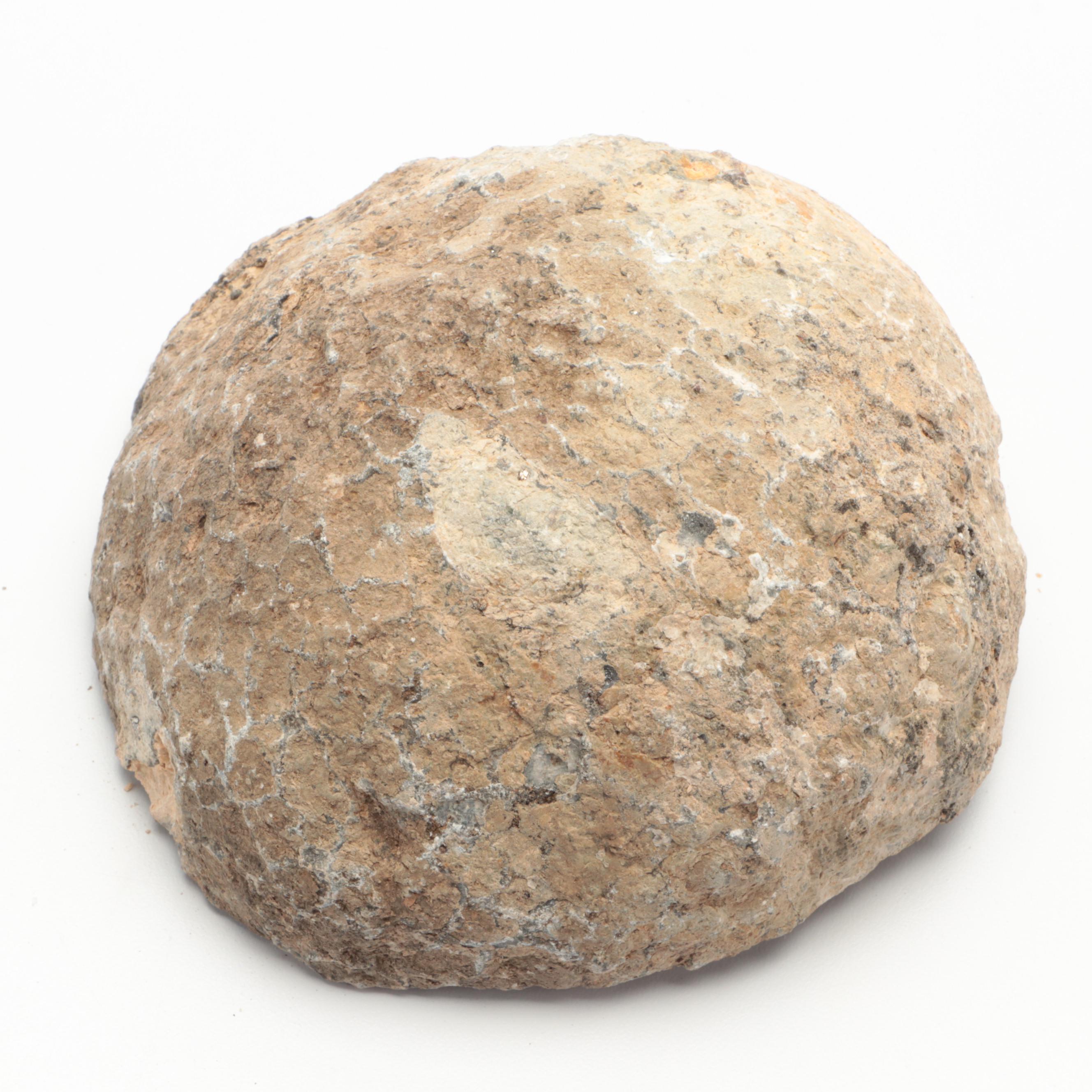 Smoky Quartz Split Geode Specimens | EBTH