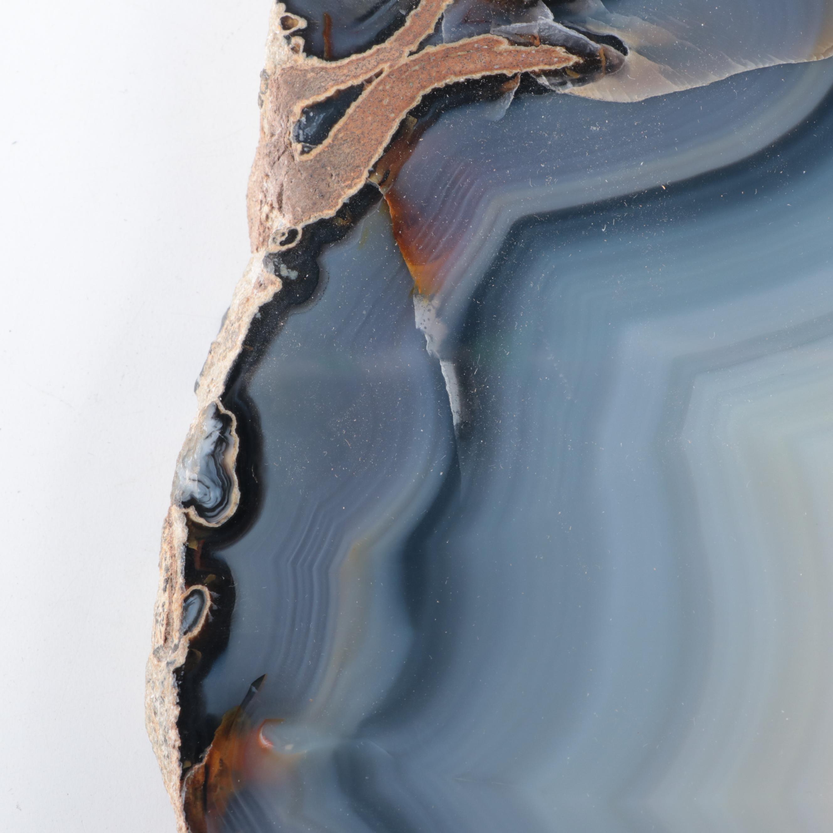 Cut and Polished Blue Banded Agate Geode Slice | EBTH