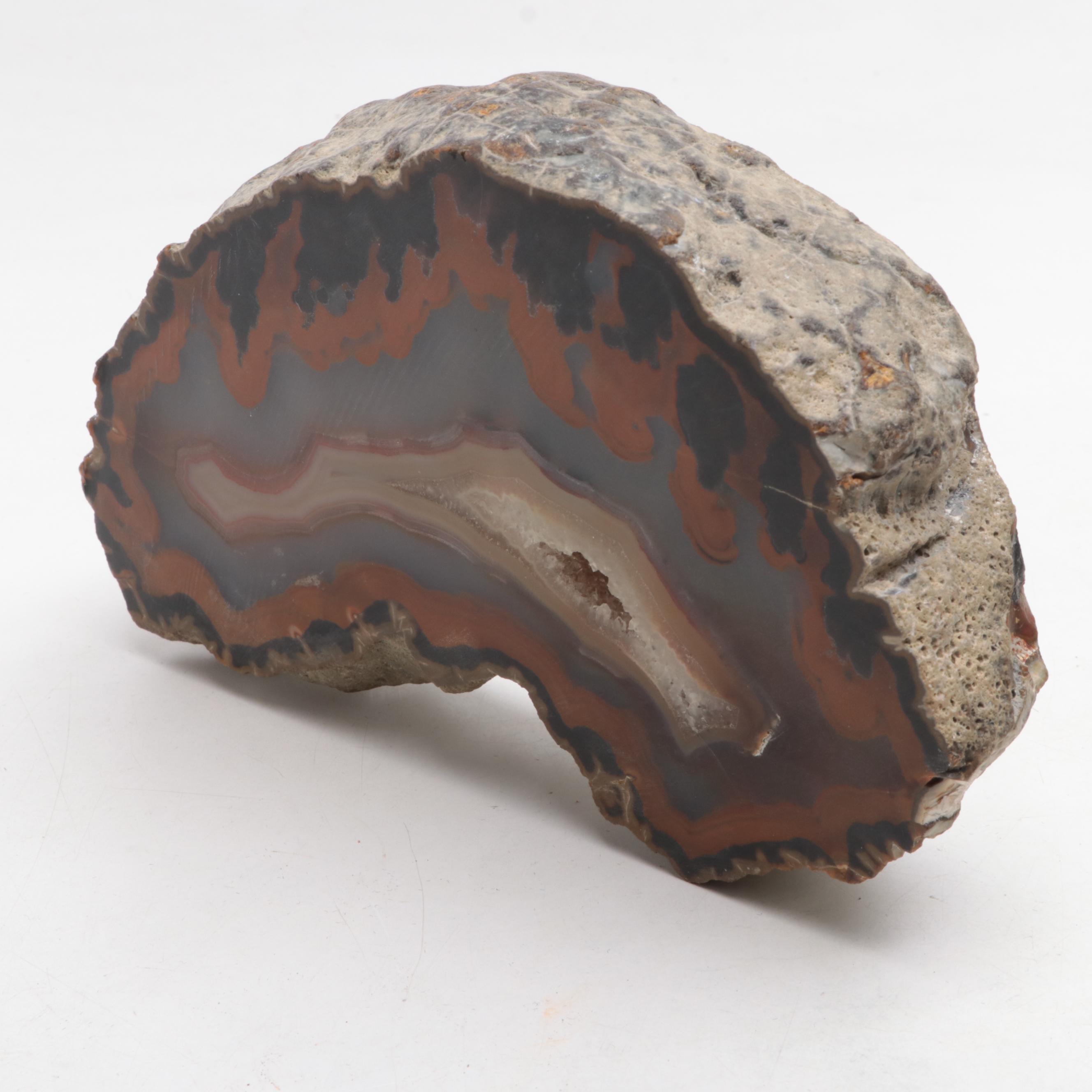 Brazilian and Other Polished Banded Agate Geode Specimens | EBTH