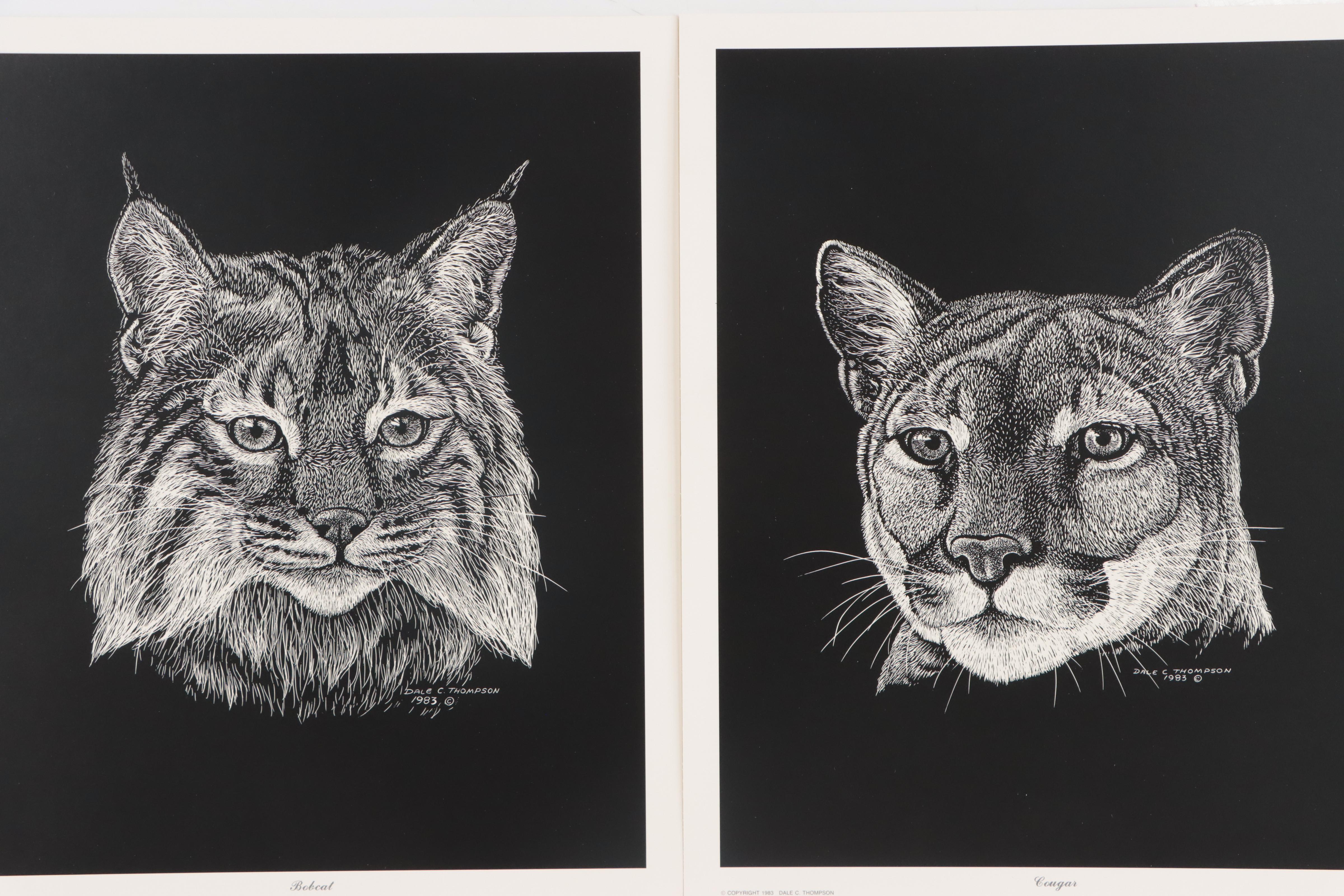 Photomechanical Prints After Dale C. Thompson "Portfolio of Wildlife ...