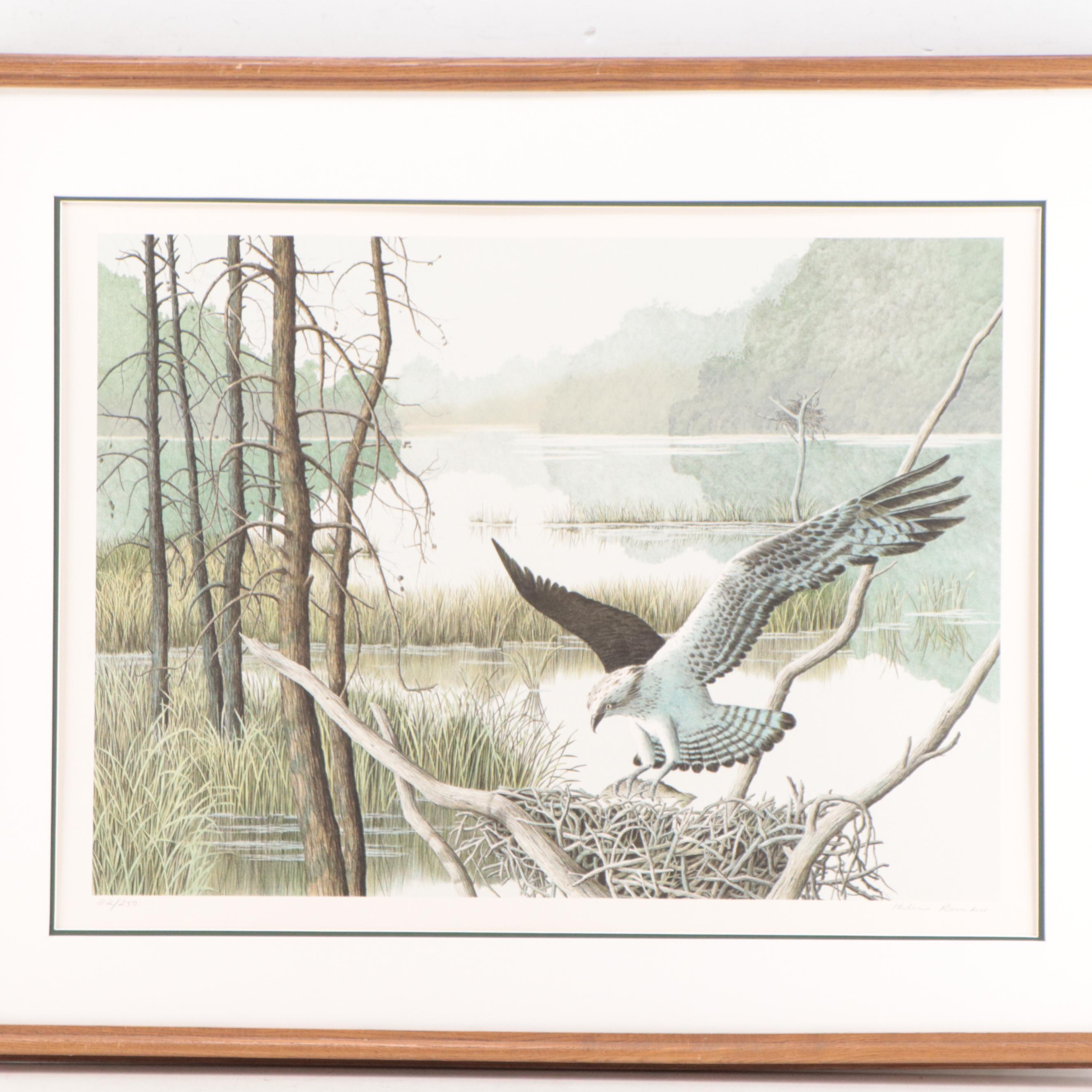 Helen Rundell Wildlife Lithograph "Osprey," Circa 1979 | EBTH