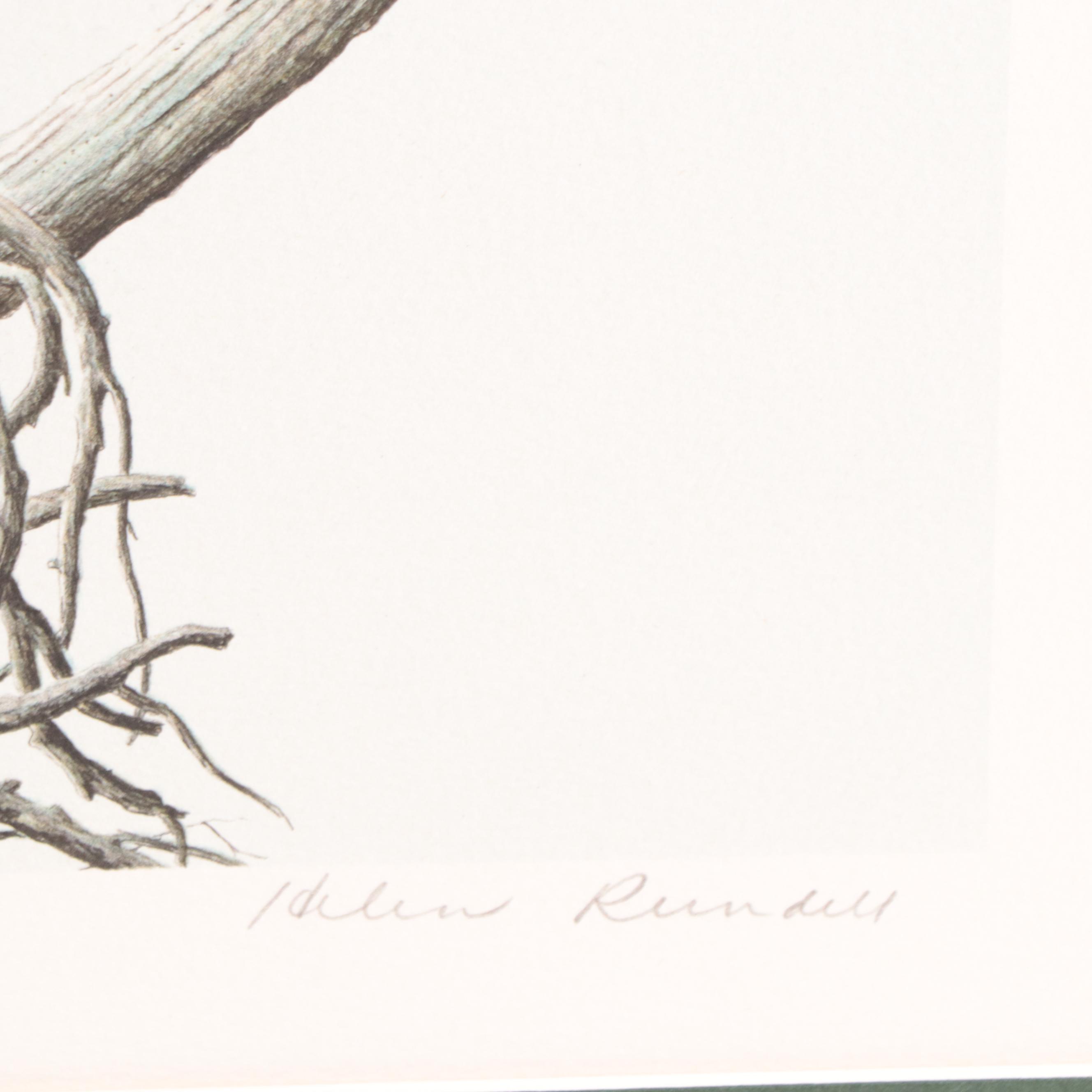 Helen Rundell Wildlife Lithograph "Osprey," Circa 1979 | EBTH