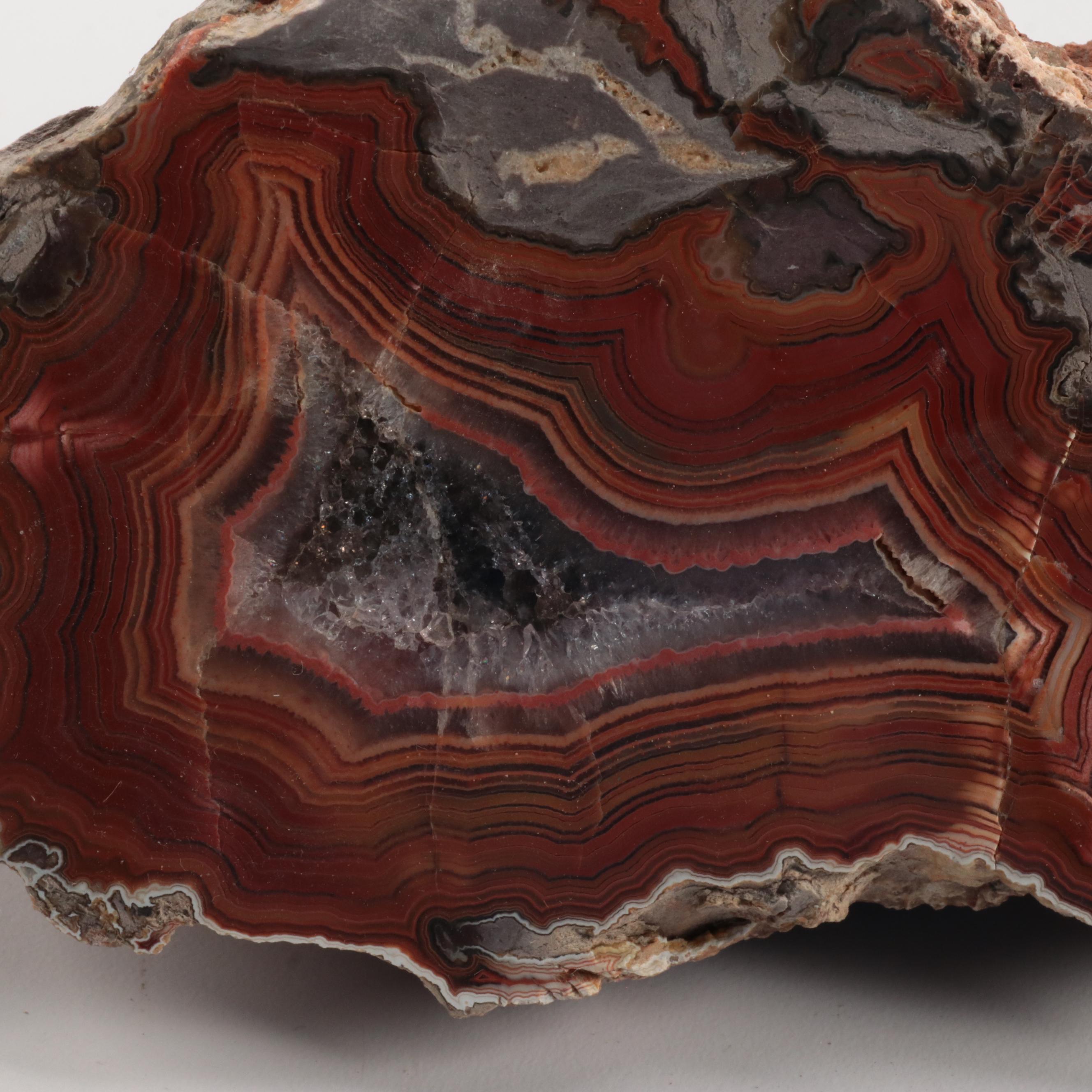 Sard and Banded Agate Geode Slabs | EBTH