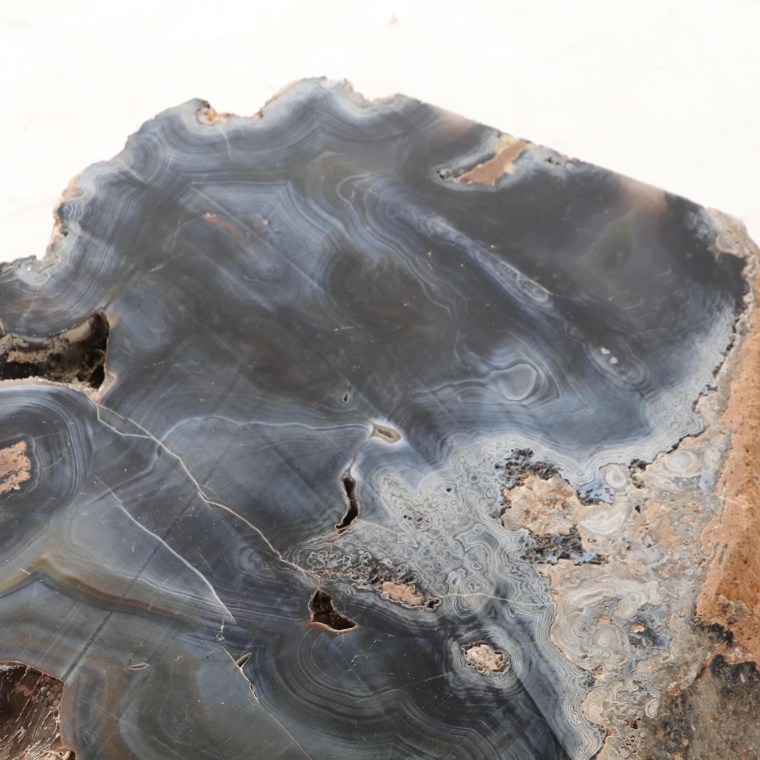 Banded Black Agate Geode Specimen | EBTH