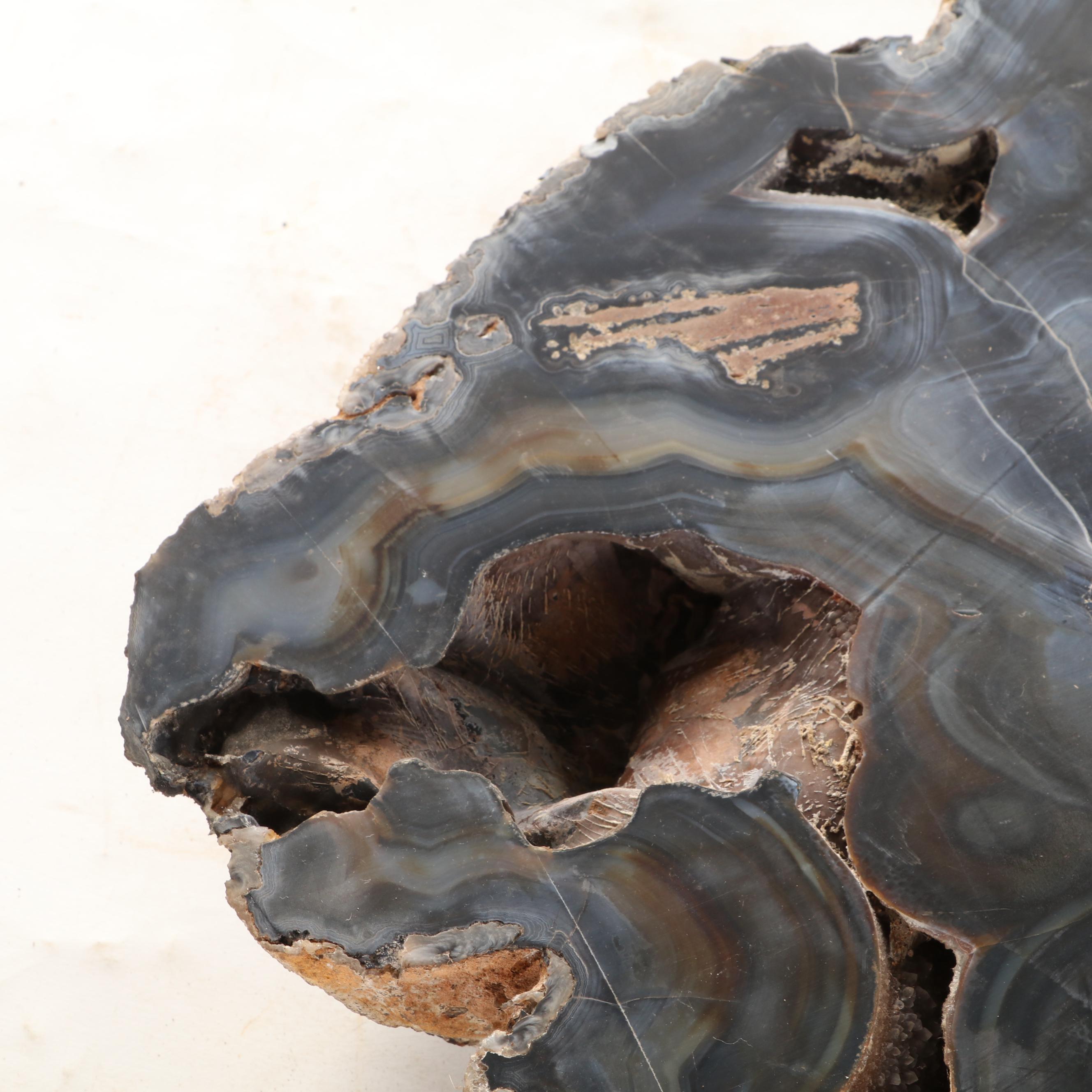 Banded Black Agate Geode Specimen | EBTH