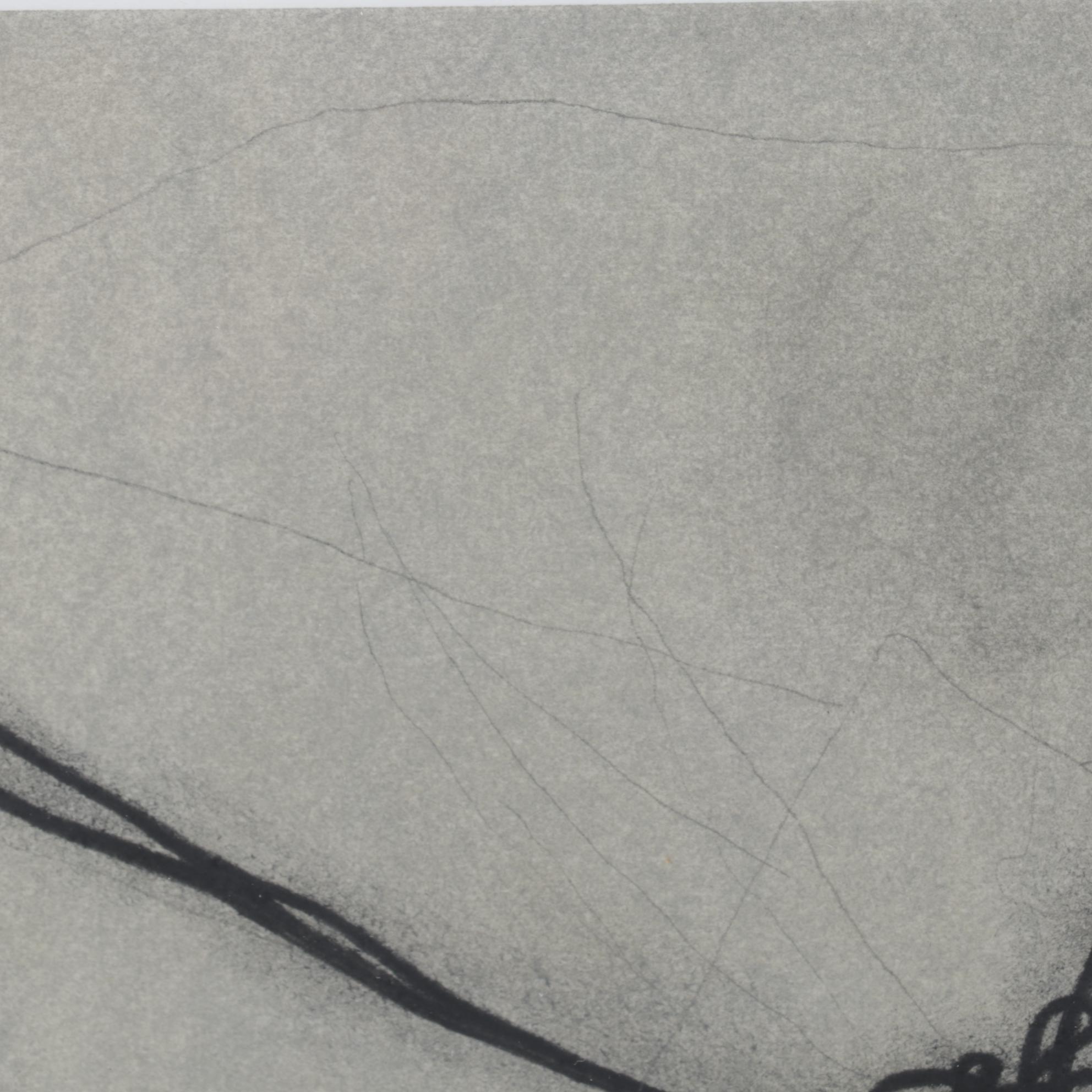 Greg Murr Pastel and Charcoal Drawing "Knot/Tangle," 1999 | EBTH