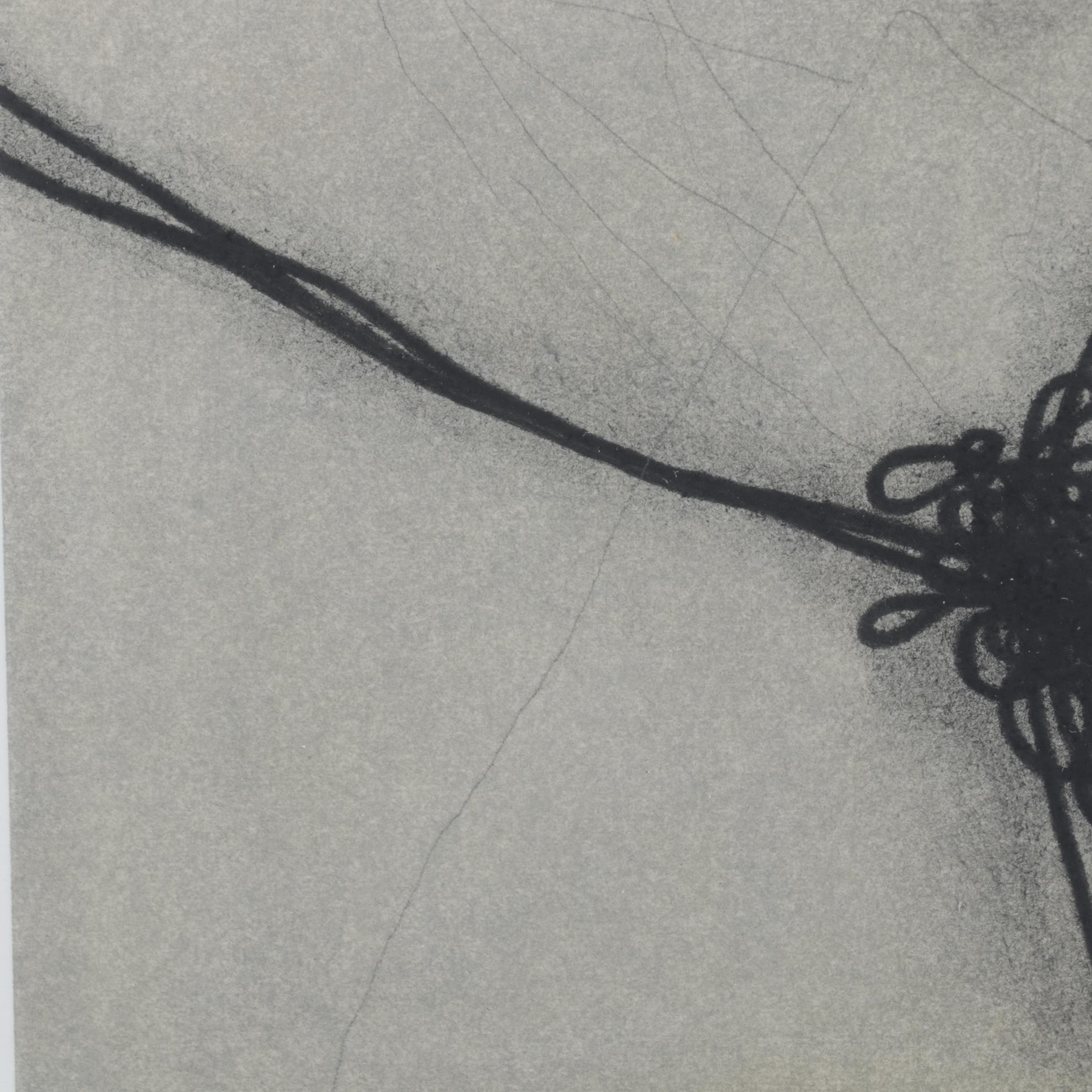 Greg Murr Pastel and Charcoal Drawing "Knot/Tangle," 1999 | EBTH
