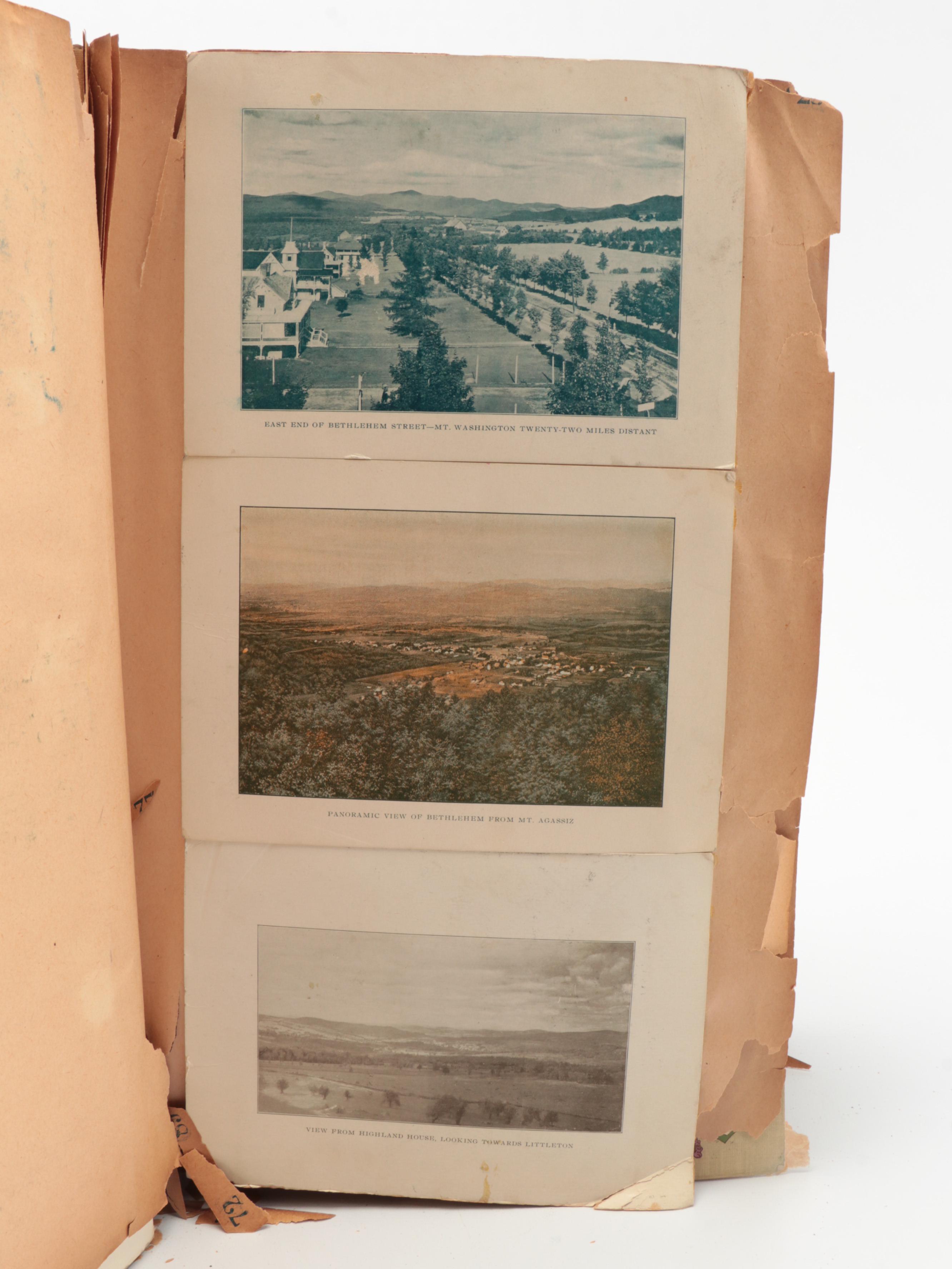 Postcard Albums with Travel Postcards and Stamps | EBTH