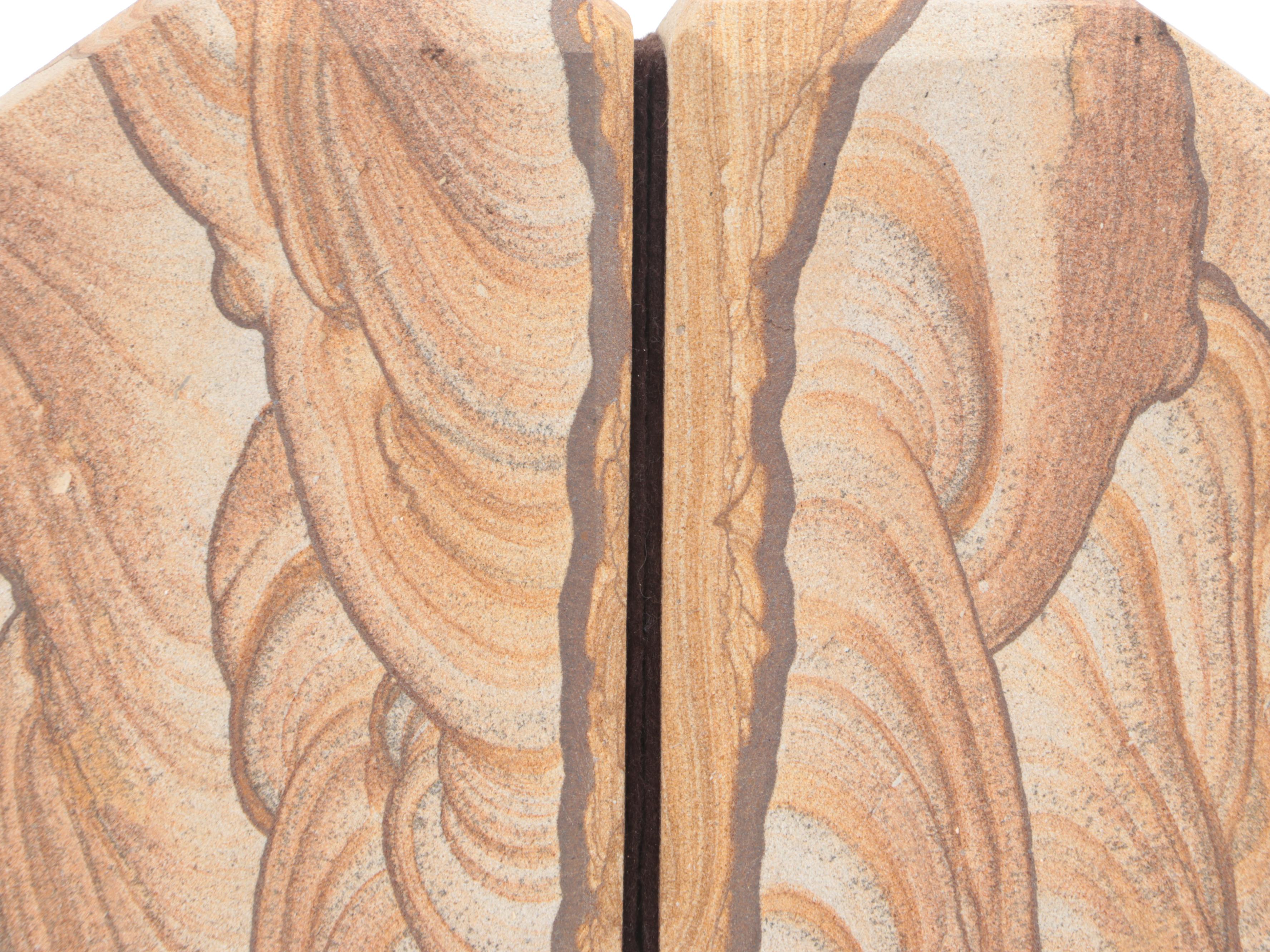 Kanab Wonderstone Sandstone and Agatized Petrified Wood | EBTH