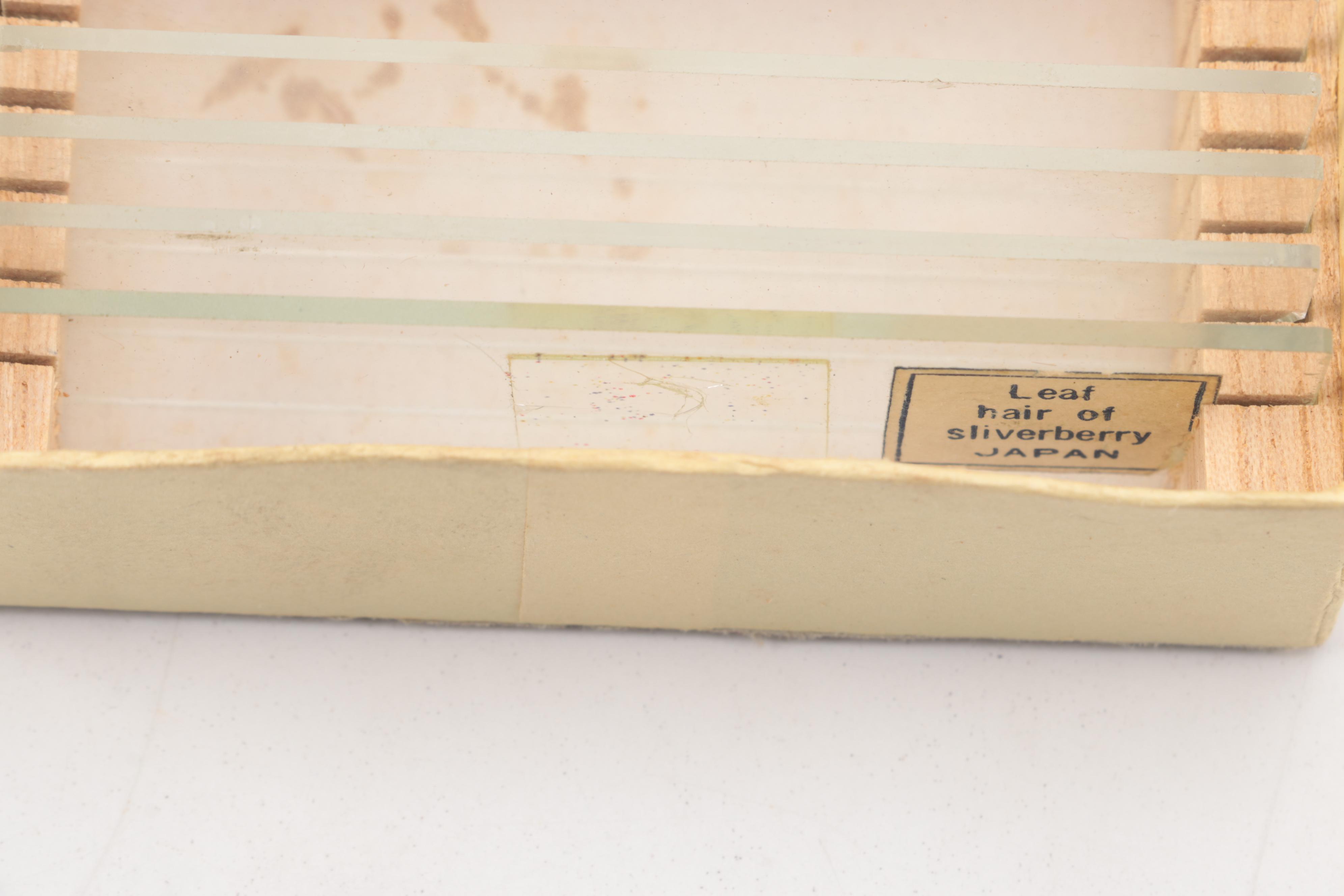 Monolux 1200x Microscope Kit with Magnifying Glasses | EBTH