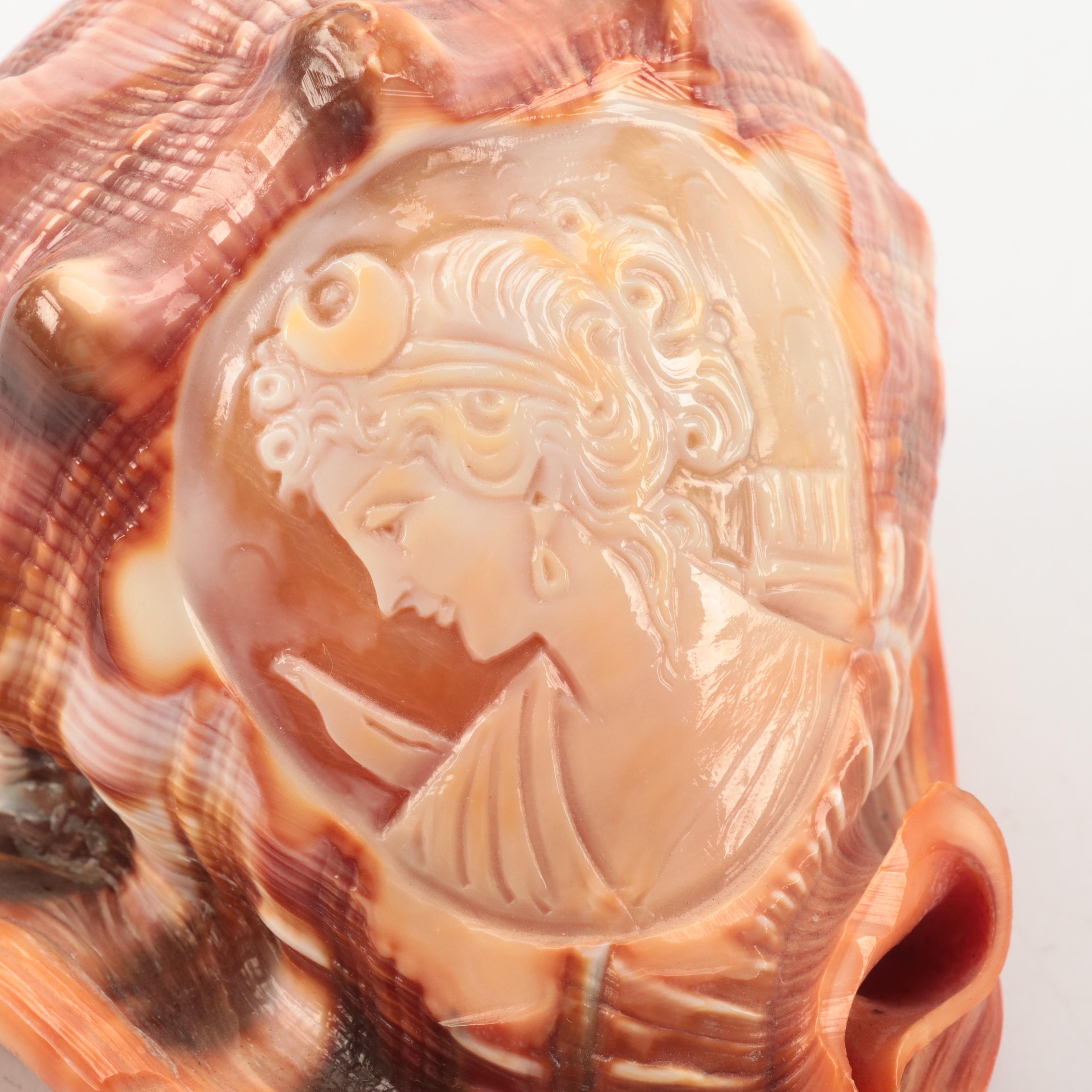 Cassis Rufa with Carved Cameo of Greco Roman Figure | EBTH