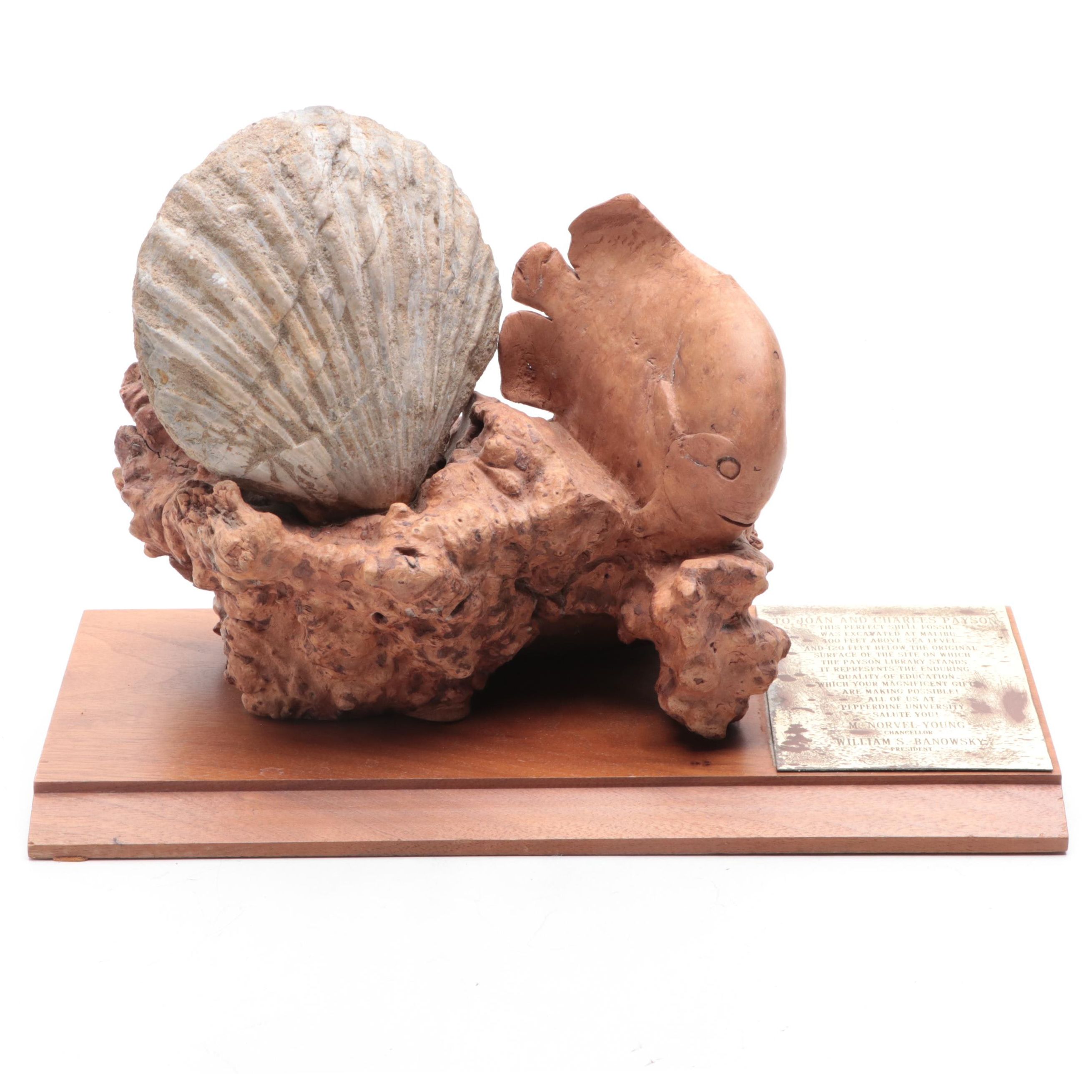 Fossilized Shell and Burl Wood Award Sculpture from Pepperdine ...