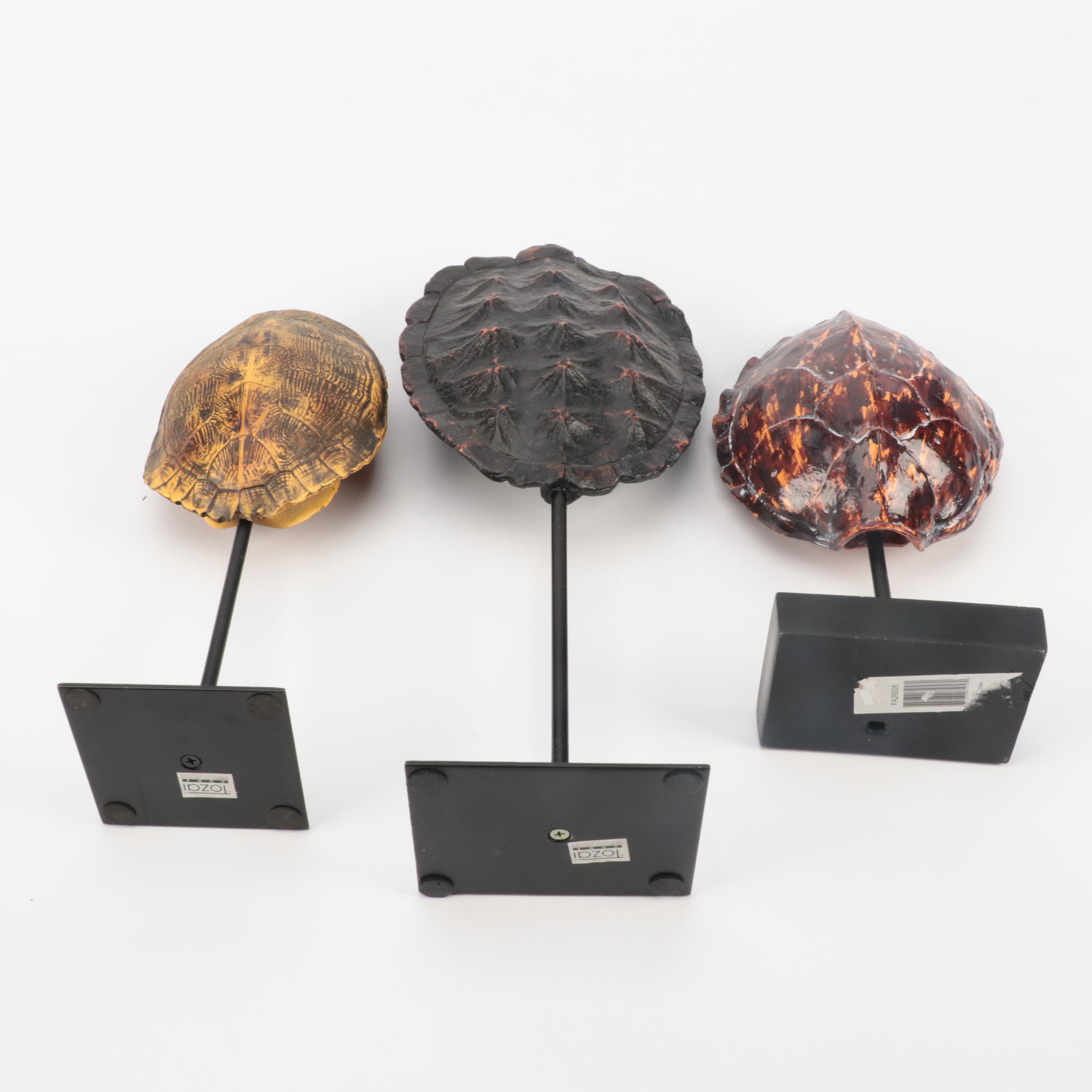Restoration Hardware Resin Decorative Turtle Shells | EBTH