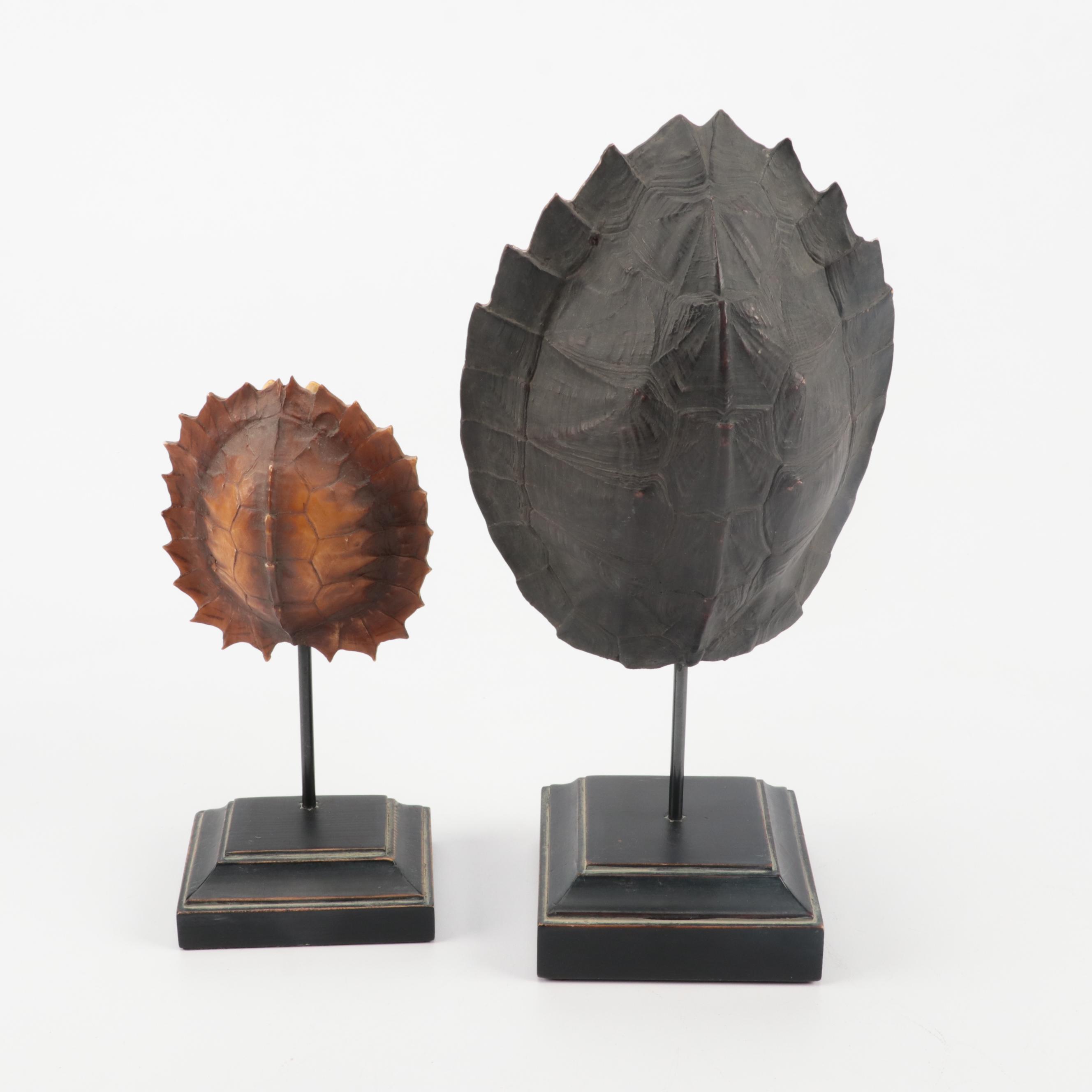 Restoration Hardware Resin Decorative Turtle Shells | EBTH