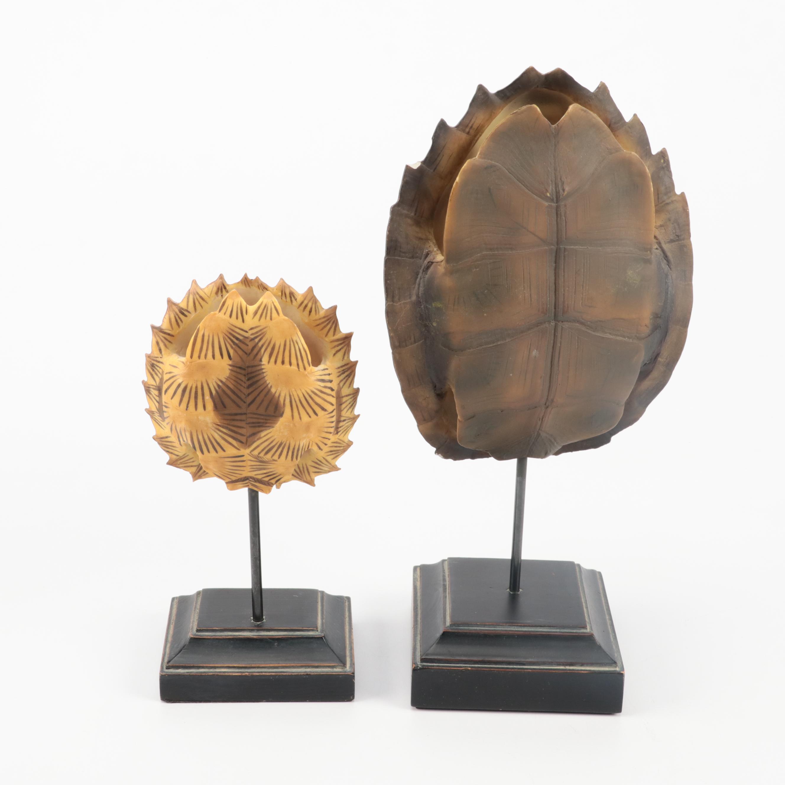 Restoration Hardware Resin Decorative Turtle Shells | EBTH