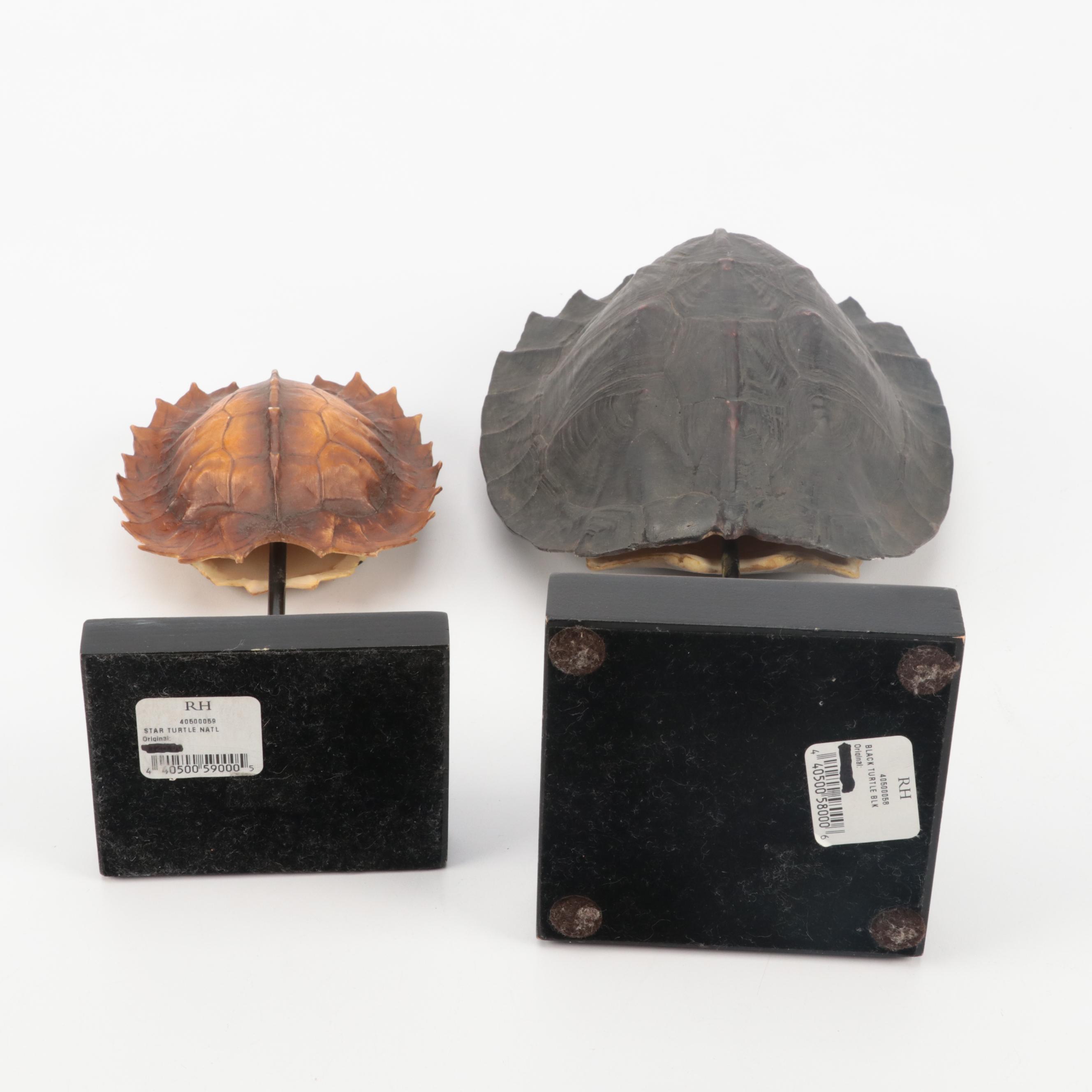 Restoration Hardware Resin Decorative Turtle Shells | EBTH