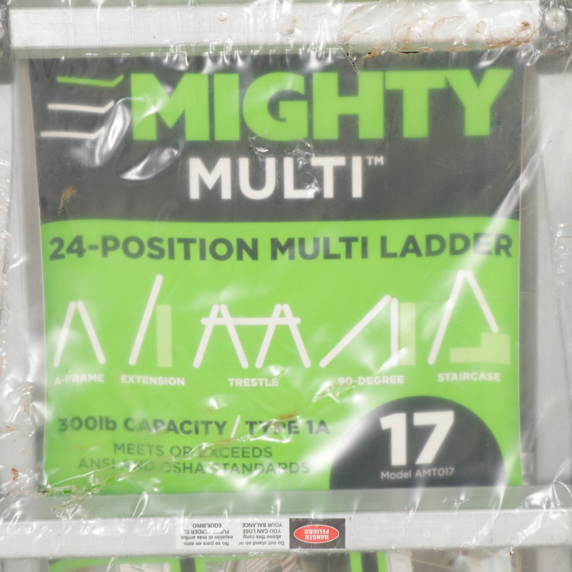 Werner Platform Ladder, Little Giant Step Ladder, and Mighty Multi ...