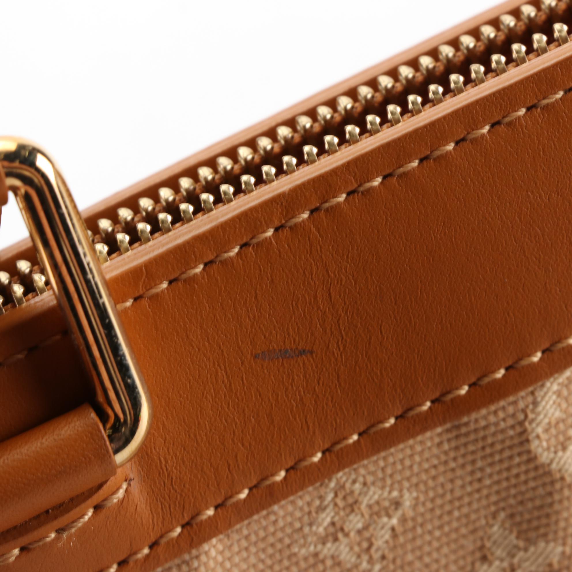 Louis Vuitton Lucille Bag in Monogram Mini Lin | EBTH