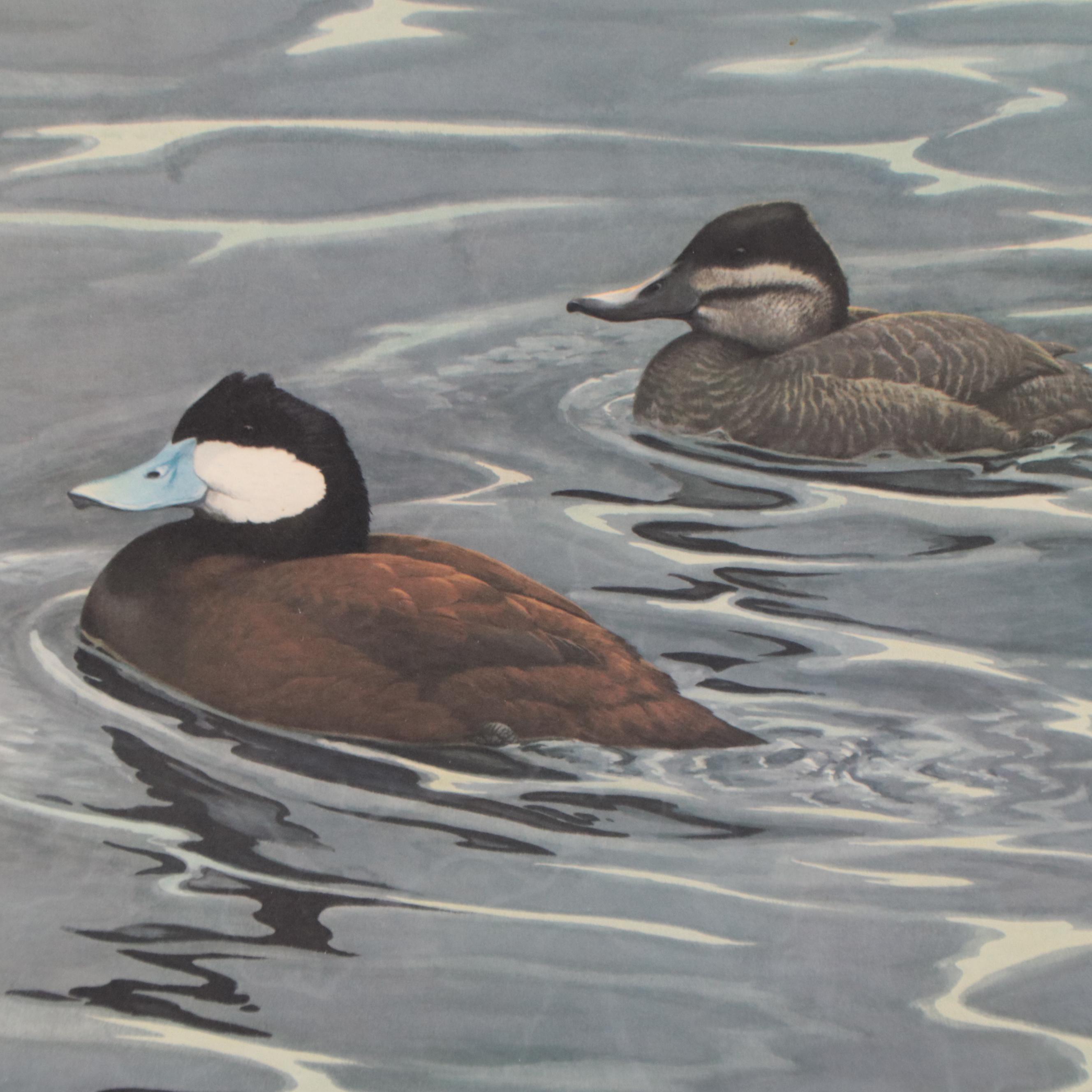Robert Verity Clem Offset Lithograph "Ruddy Ducks" | EBTH