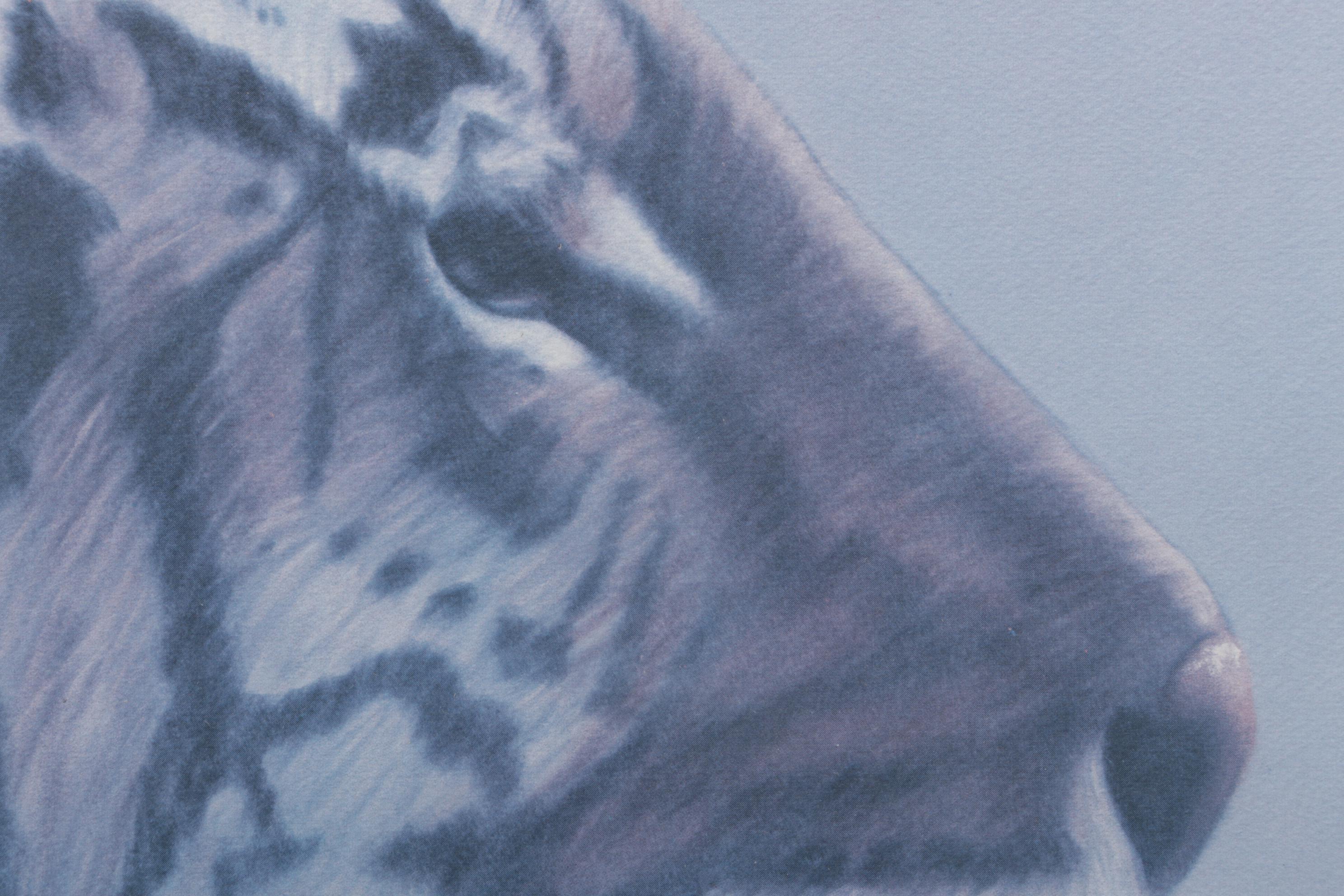 Harold Rigsby Offset Lithograph "Bengal Tiger," Late 20th Century | EBTH