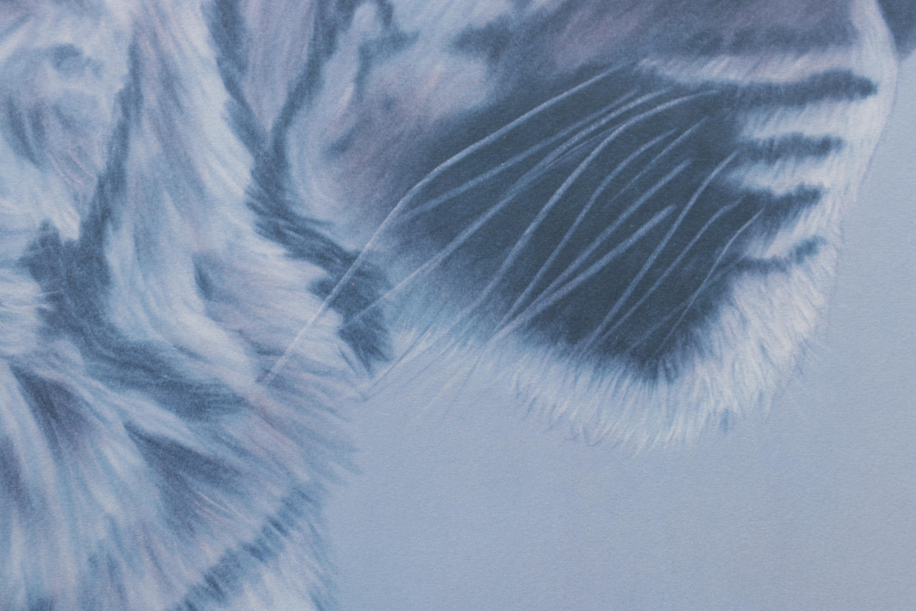 Harold Rigsby Offset Lithograph "Bengal Tiger," Late 20th Century | EBTH