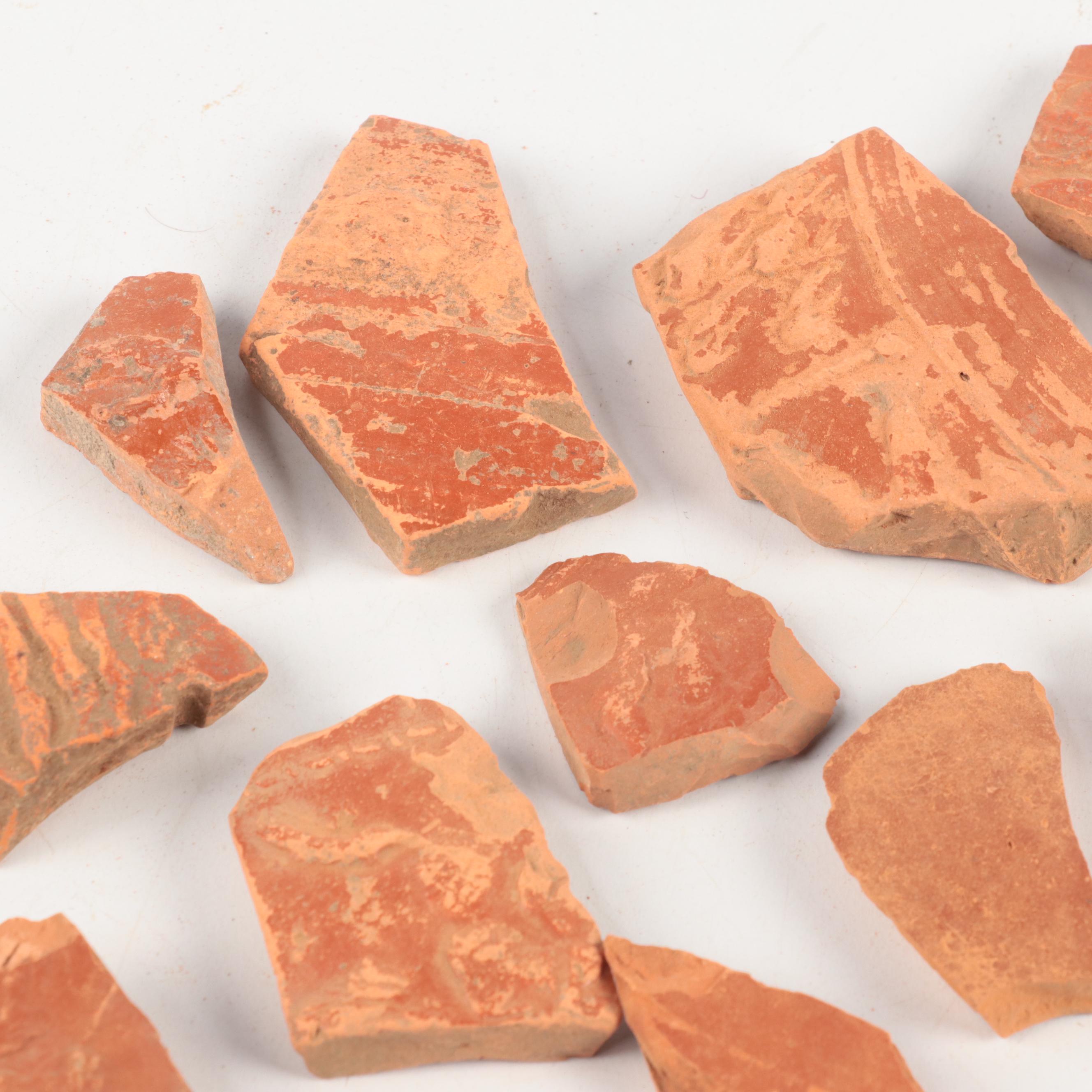 Ancient Roman Terracotta Sigillata Fragments, Circa 2nd–3rd Century | EBTH