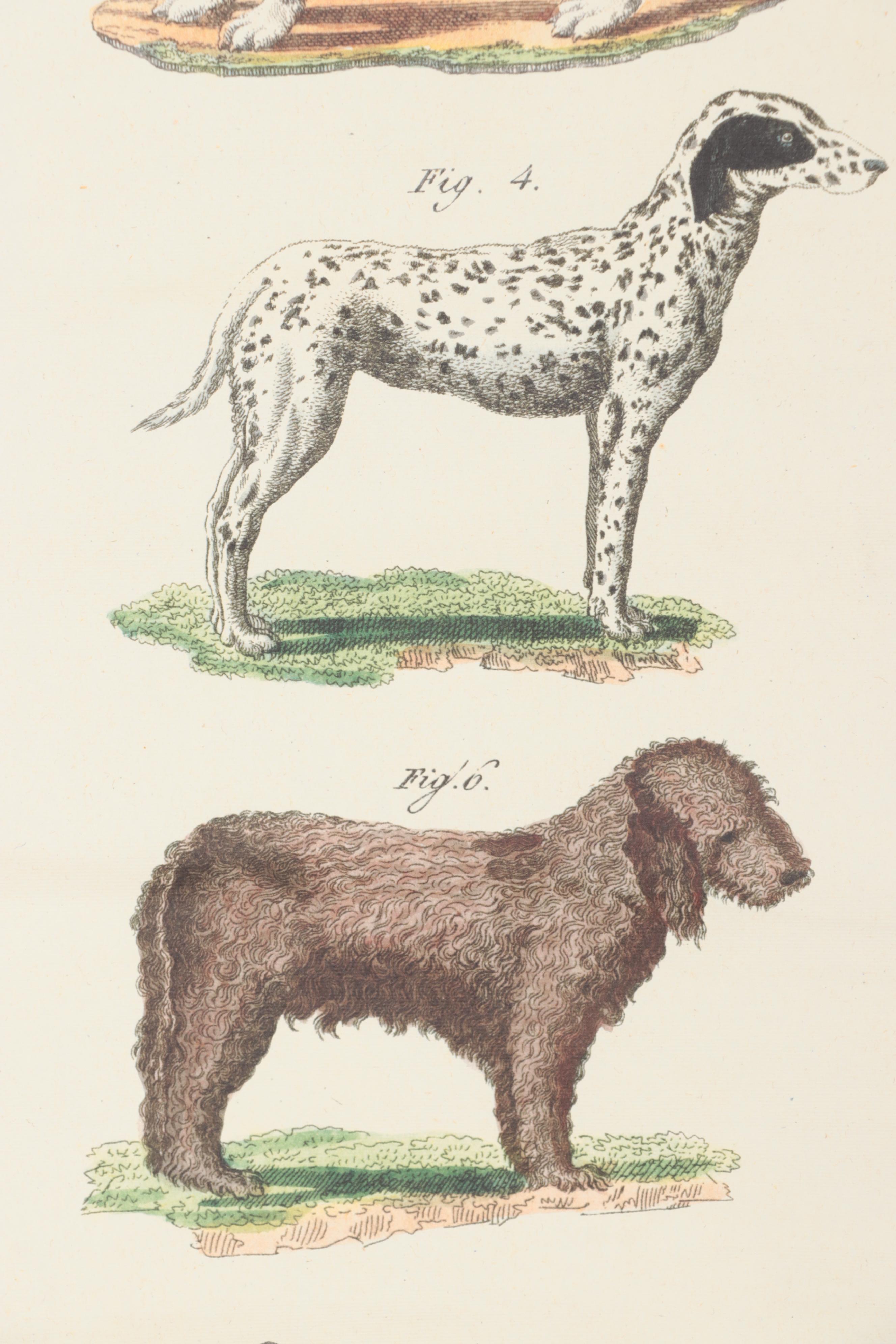 Offset Lithograph Dog Poster "Chien" | EBTH