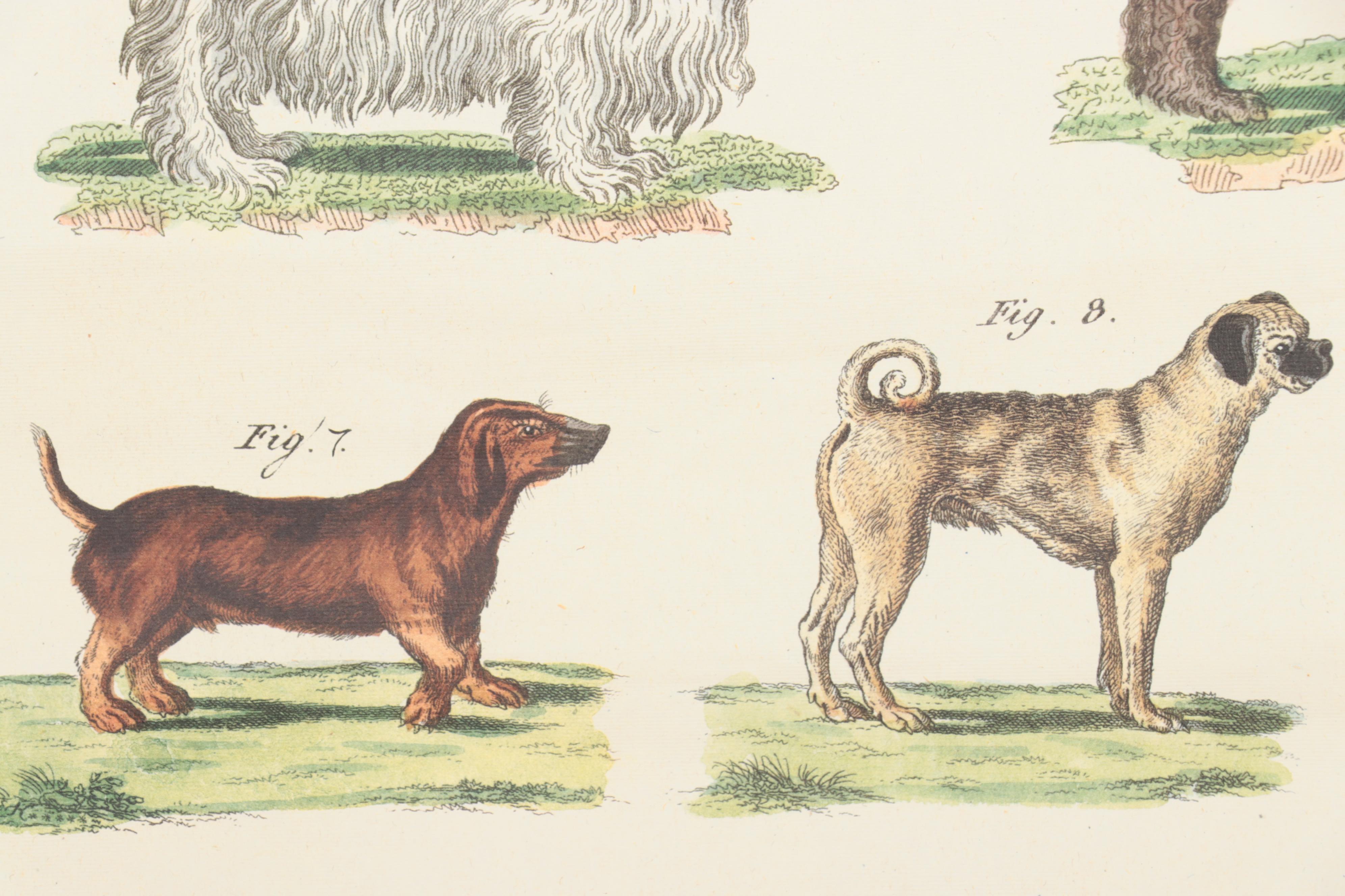 Offset Lithograph Dog Poster "Chien" | EBTH