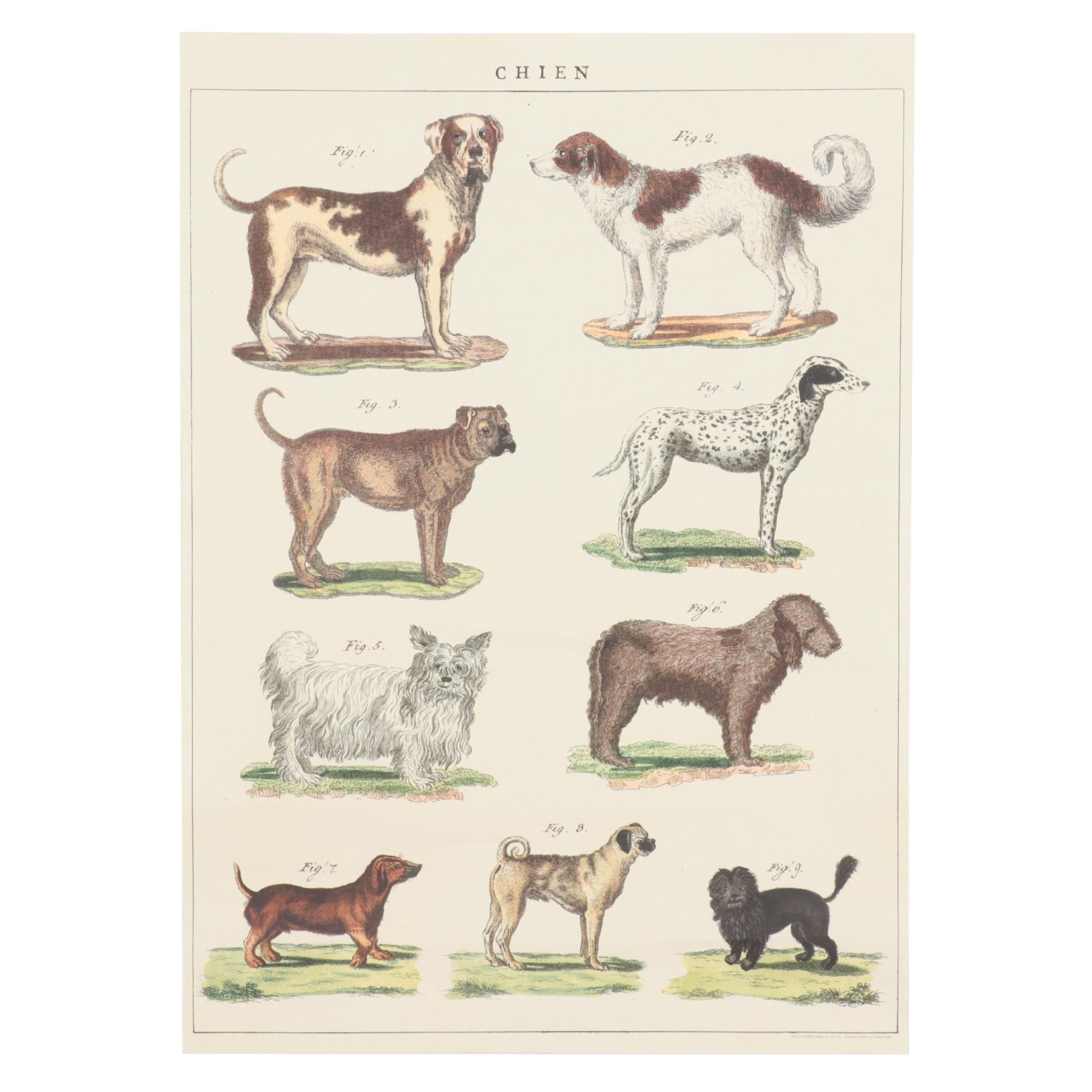 Offset Lithograph Dog Poster "Chien" | EBTH