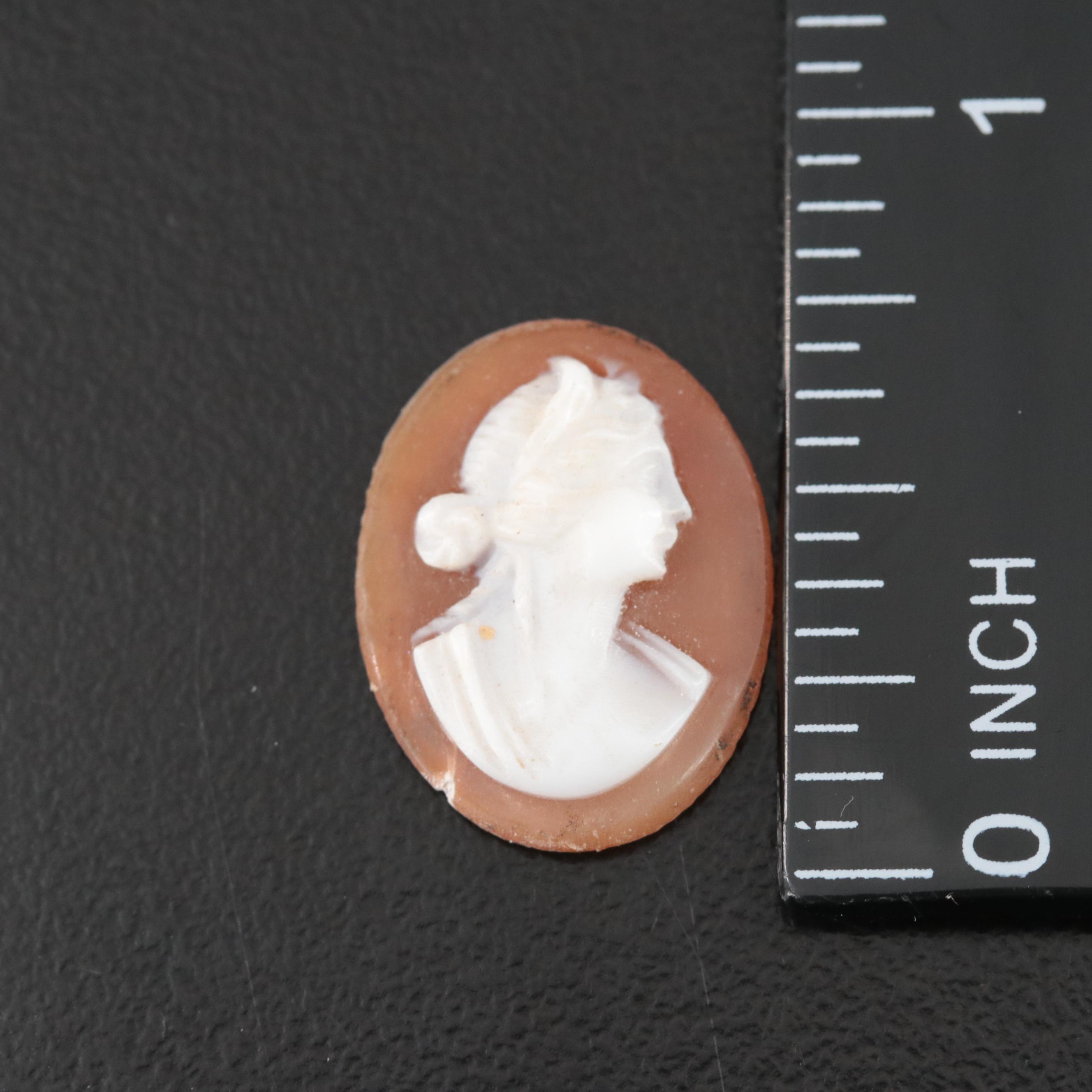 Loose Shell Cameos | EBTH