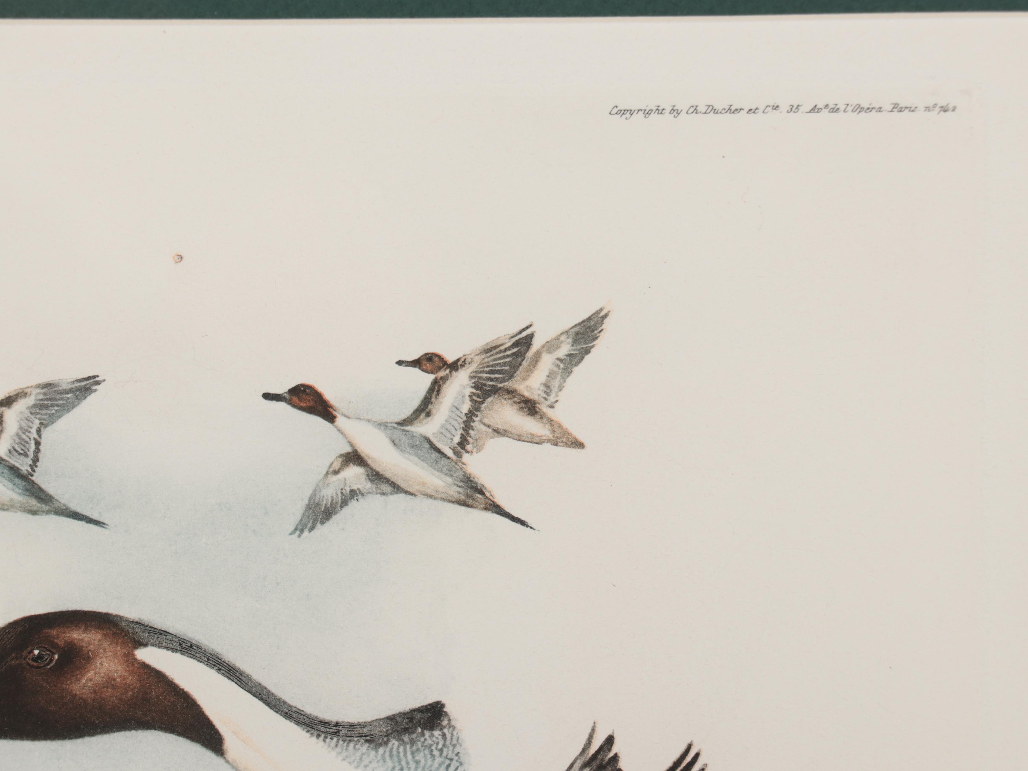 Boris Riab Prints of Ducks, Mid-20th Century | EBTH