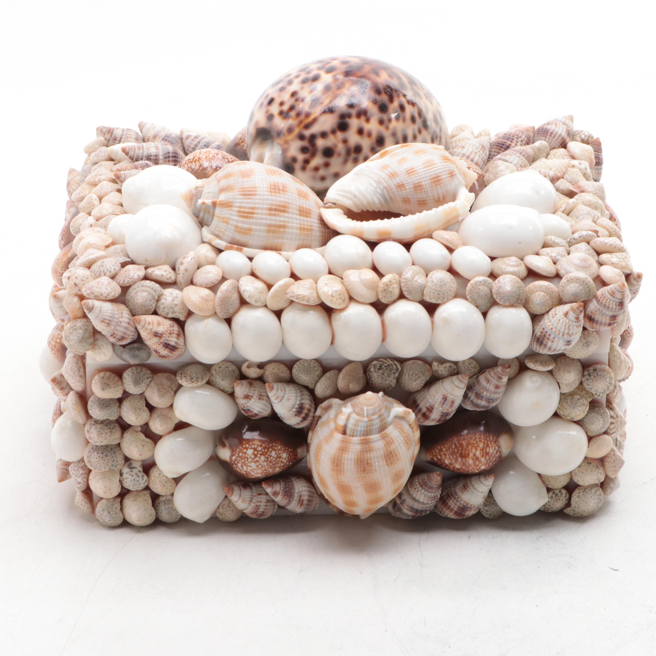 Cowrie, Turbo and Striped Clam Shell Embellished Trinket Boxes | EBTH