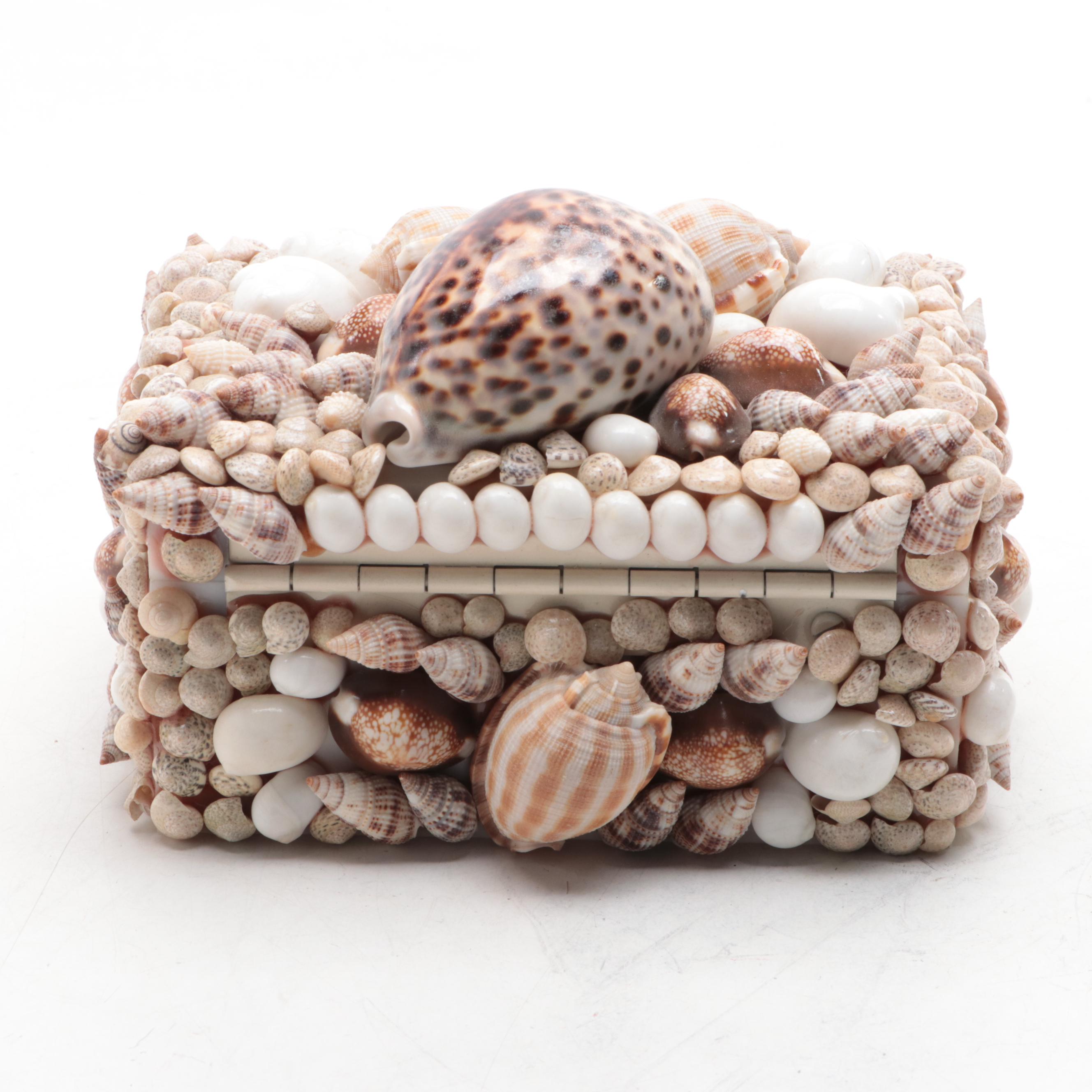 Cowrie, Turbo and Striped Clam Shell Embellished Trinket Boxes | EBTH