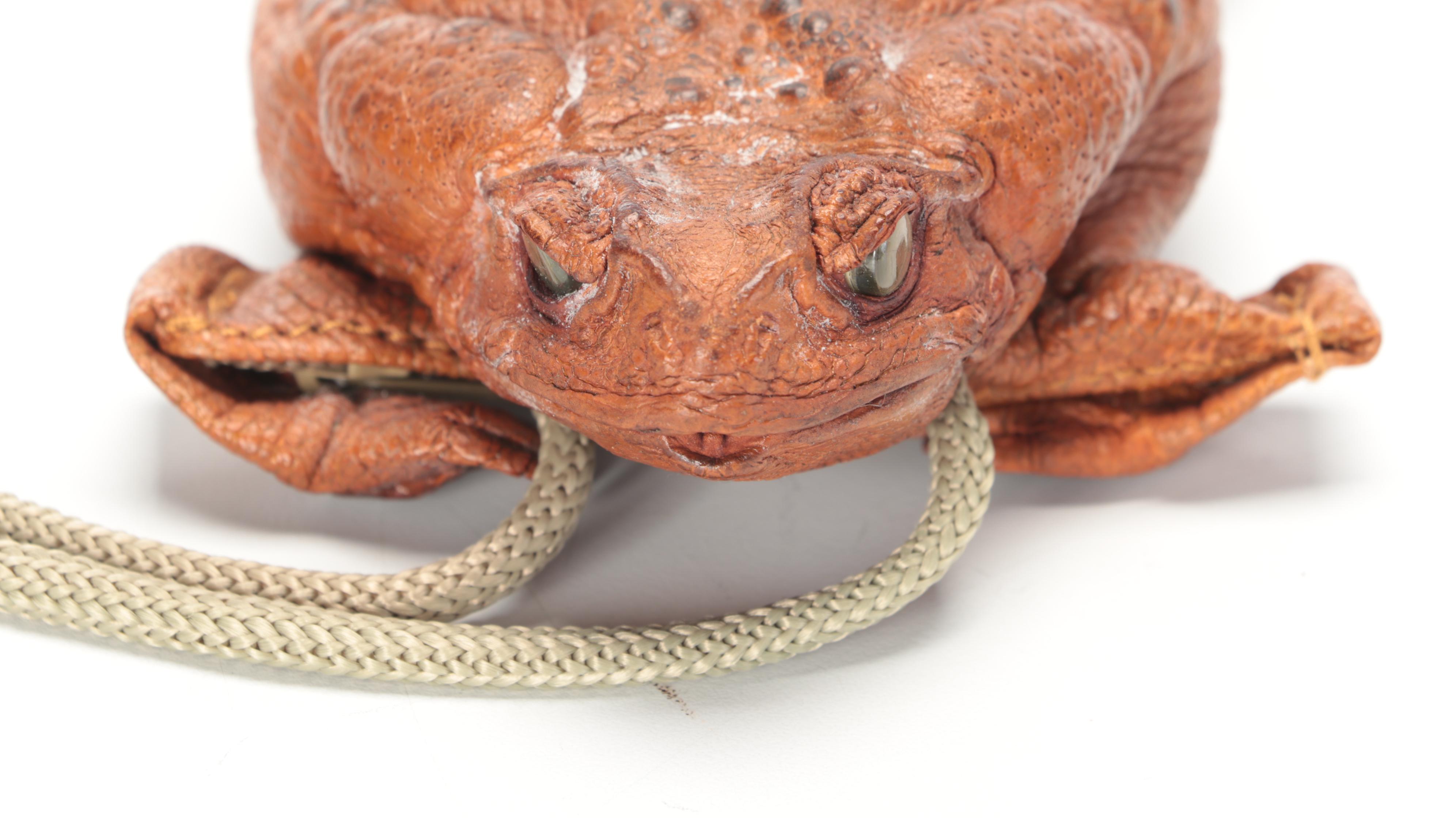 Taxidermy Sugar Cane Toad Coin Purse | EBTH