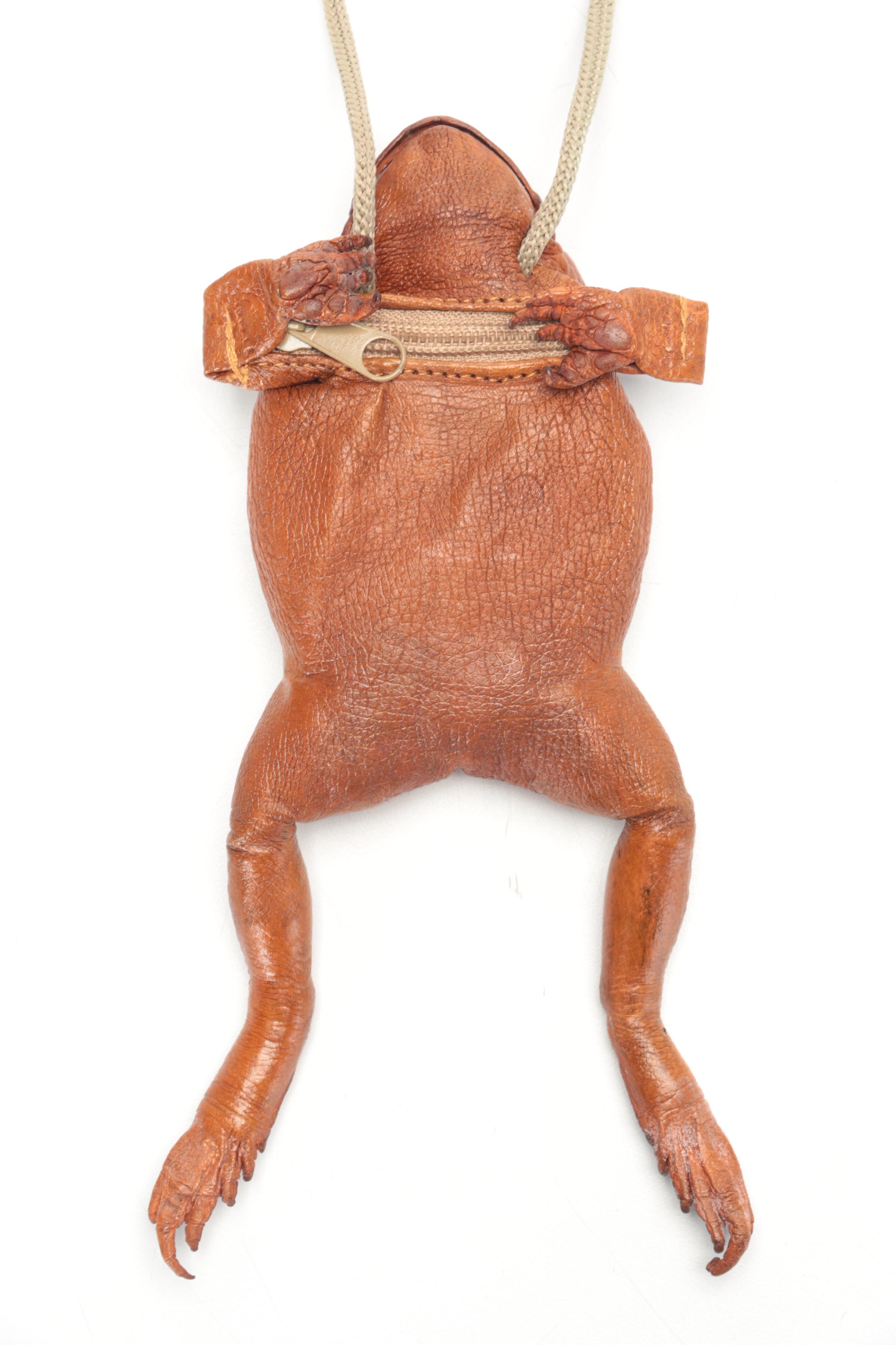 Taxidermy Sugar Cane Toad Coin Purse | EBTH
