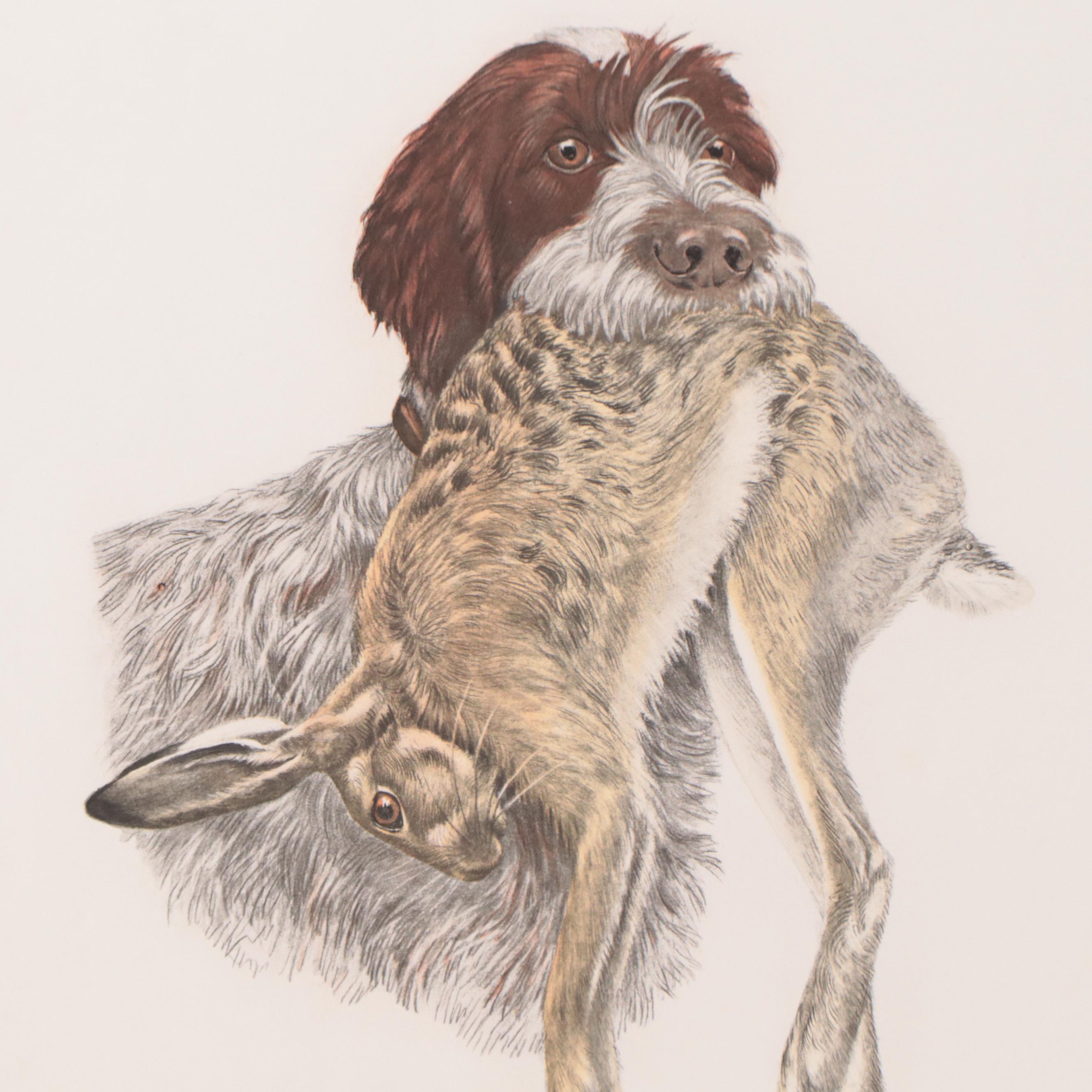 Léon Danchin Etching of Hunting Dog With Hare | EBTH