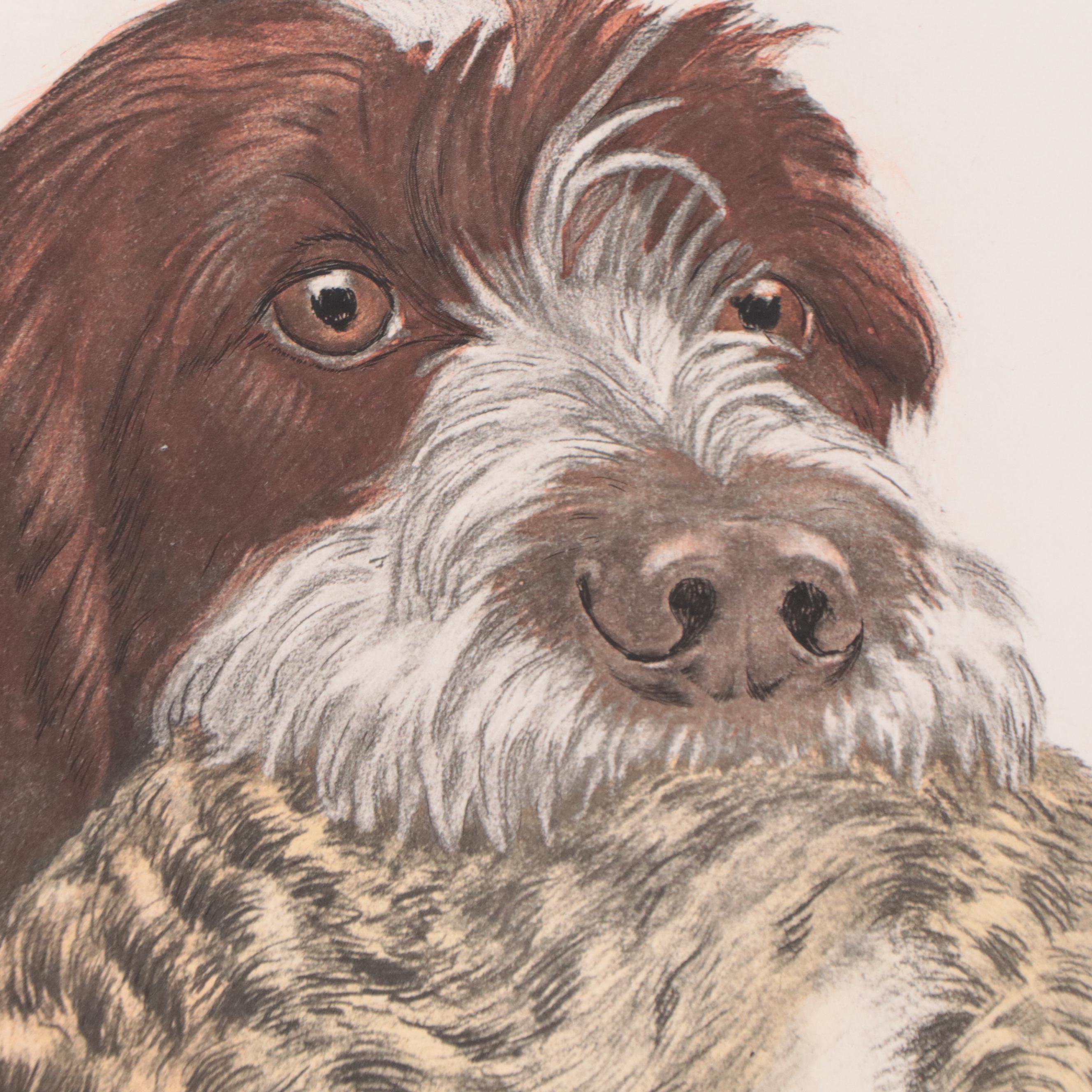 Léon Danchin Etching of Hunting Dog With Hare | EBTH