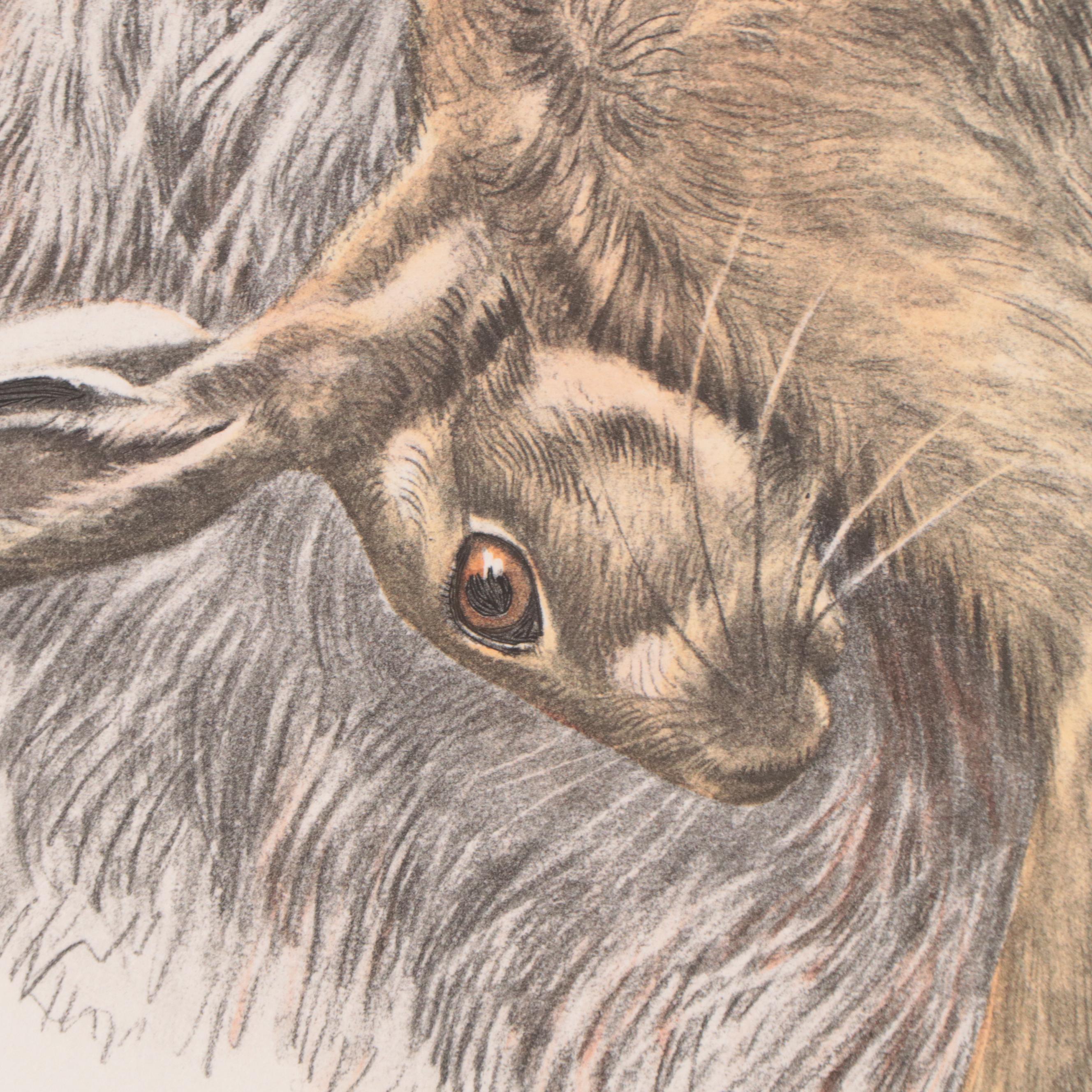 Léon Danchin Etching of Hunting Dog With Hare | EBTH