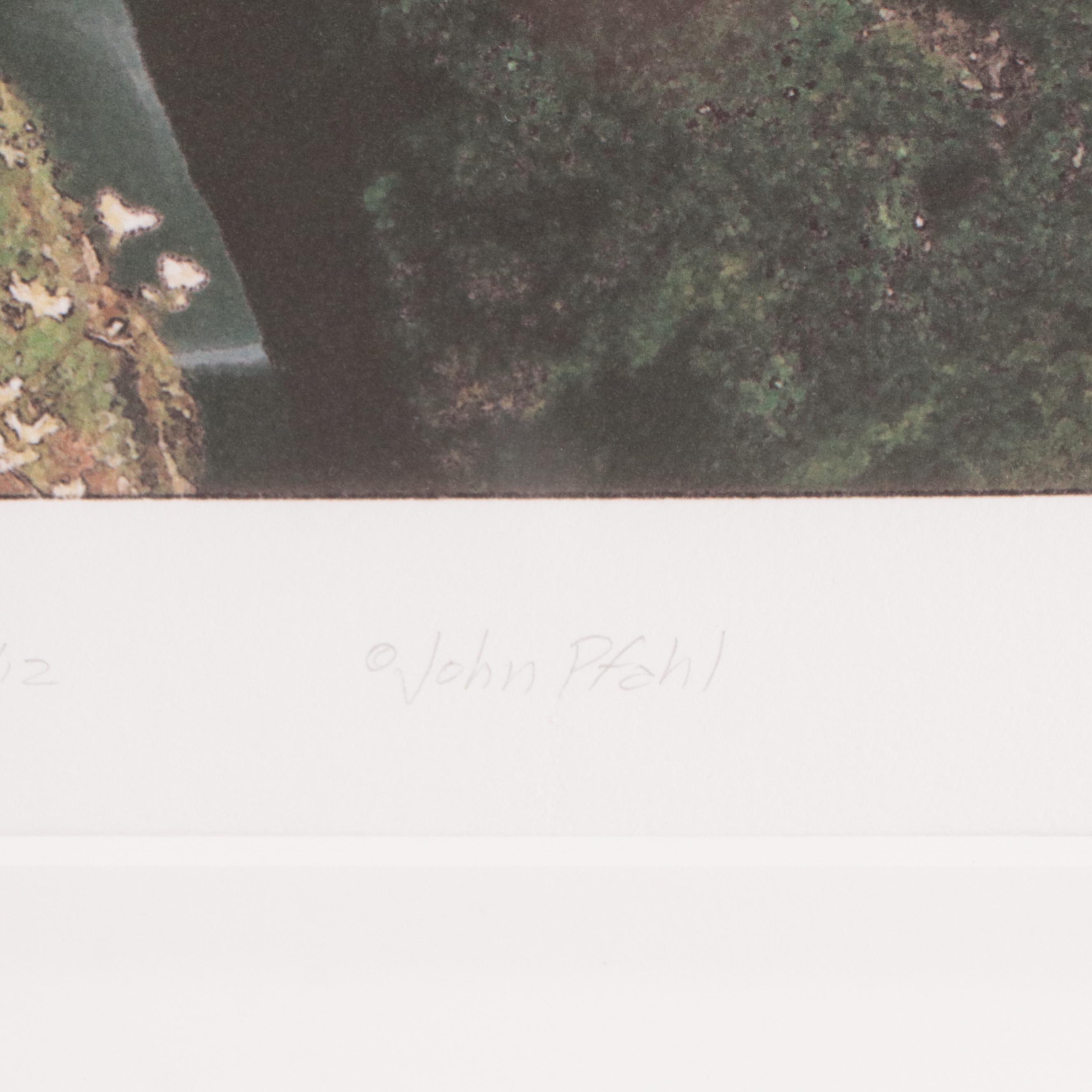 John Pfahl Iris Print from "Permutations on the Picturesque," 1996/1997 ...